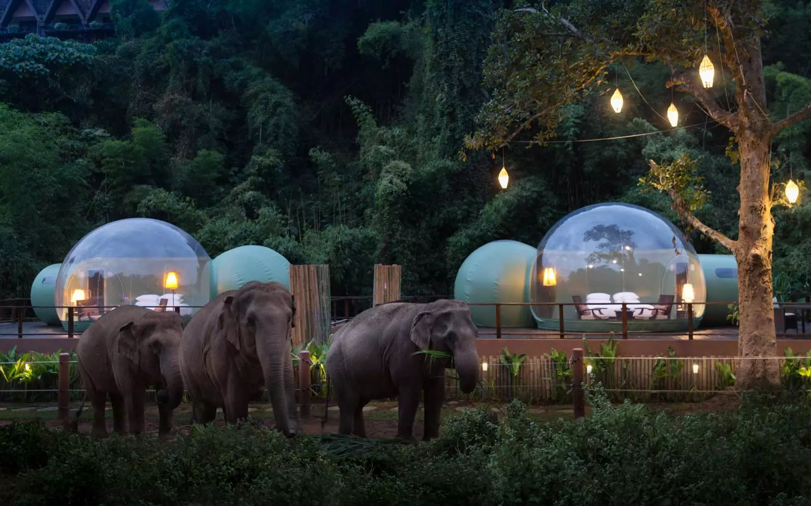 Jungle Bubbles på Anantara Resort i Thailand