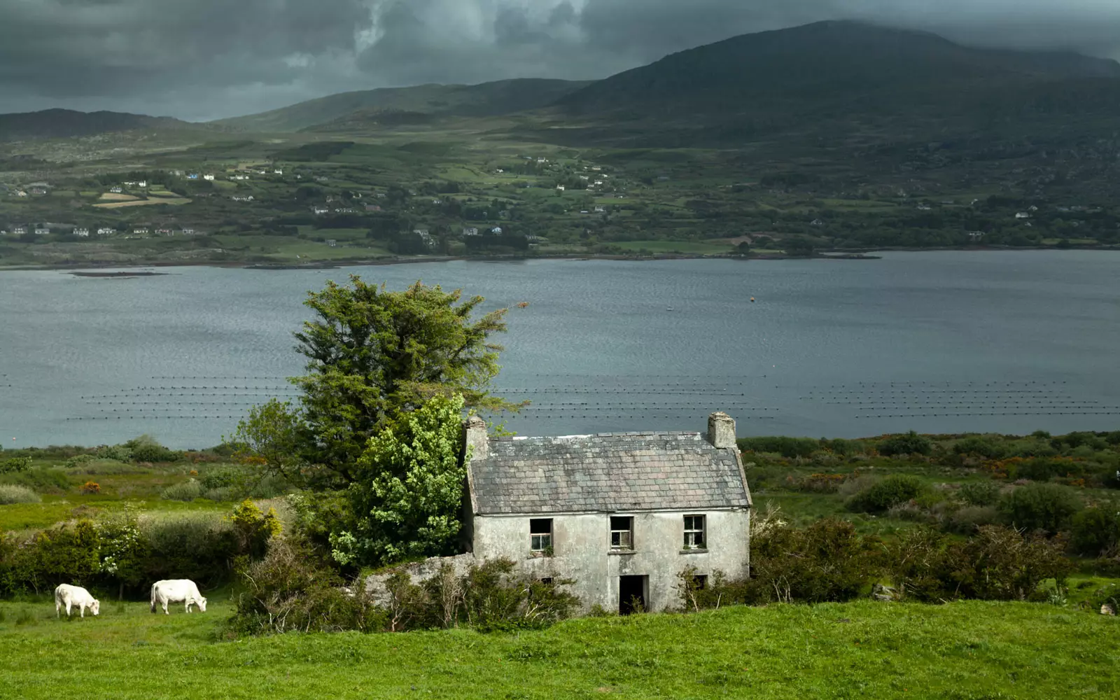 Wild Atlantic Way, Irlanda