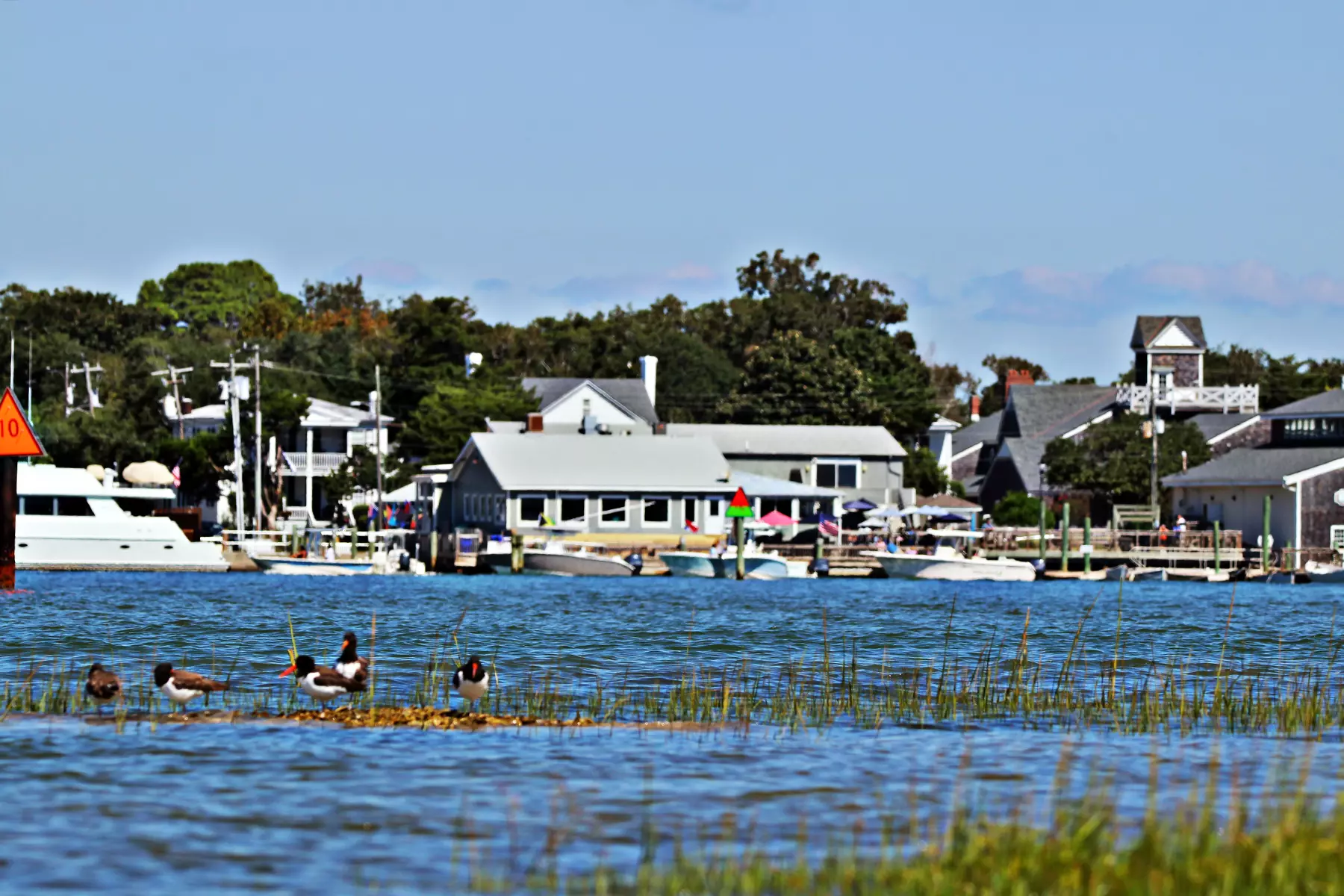 Beaufort, North Carolina, waterfront na may mga American Oystercatcher shorebird sa harapan.