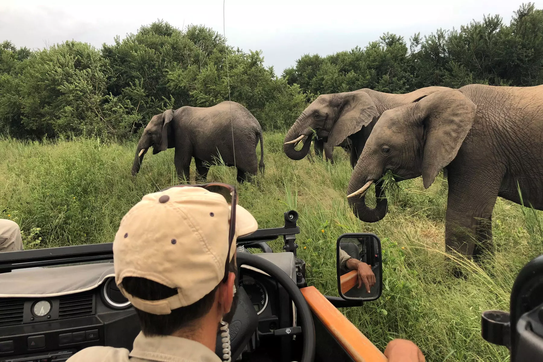 Africké safari do 7 zemí