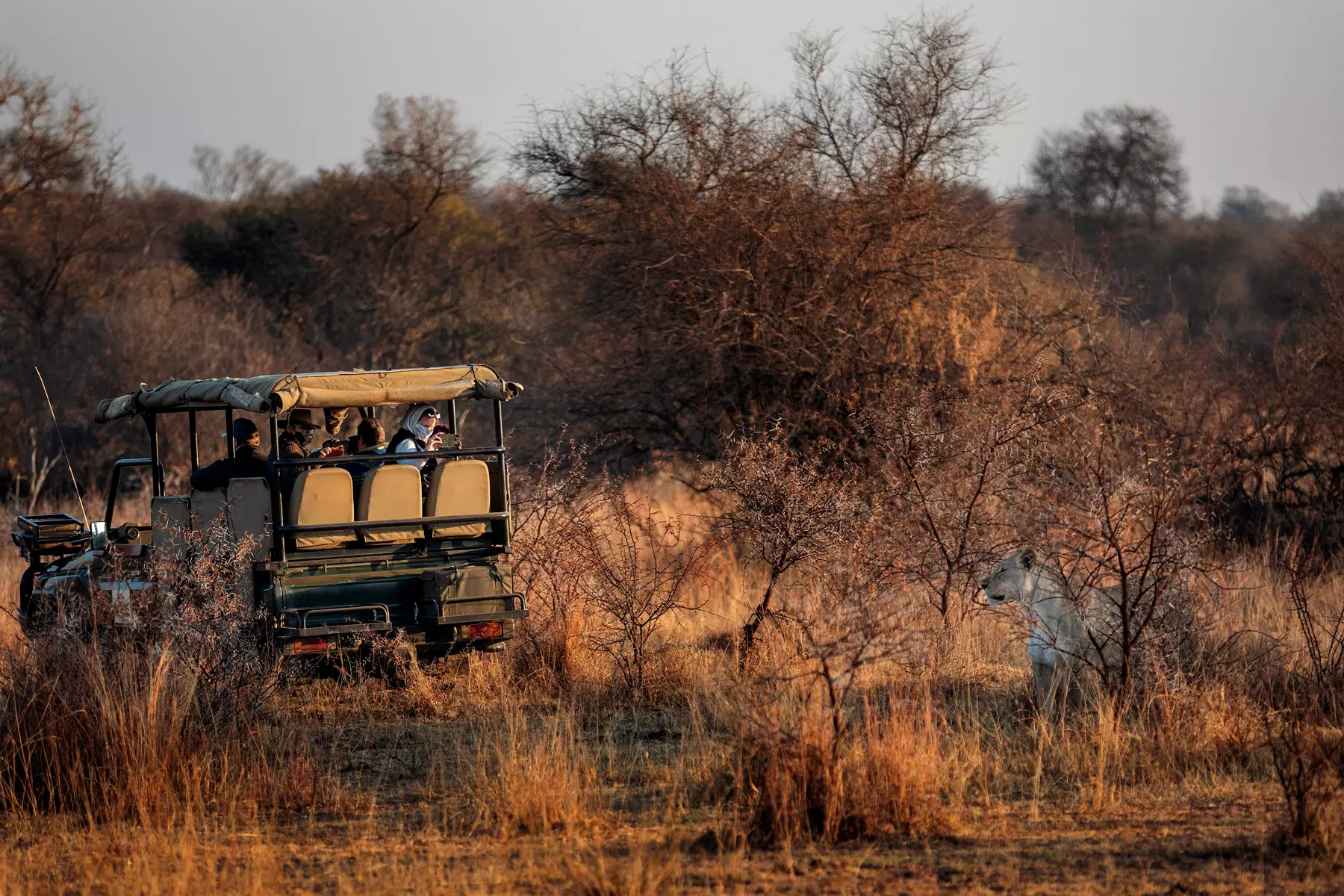 Simpanan Permainan Dinokeng di luar Pretoria