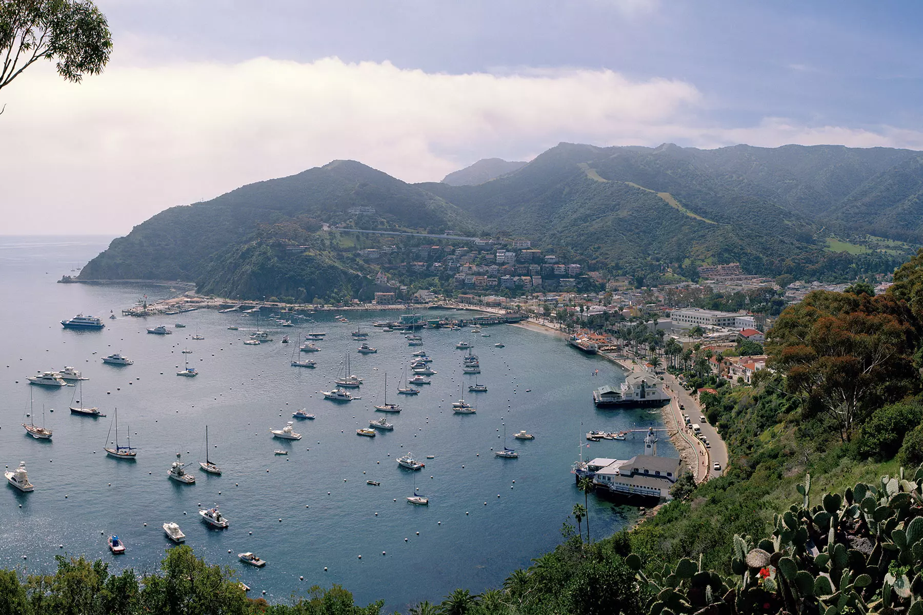 Aerial view ng Avalon Harbor, Catalina Island, California