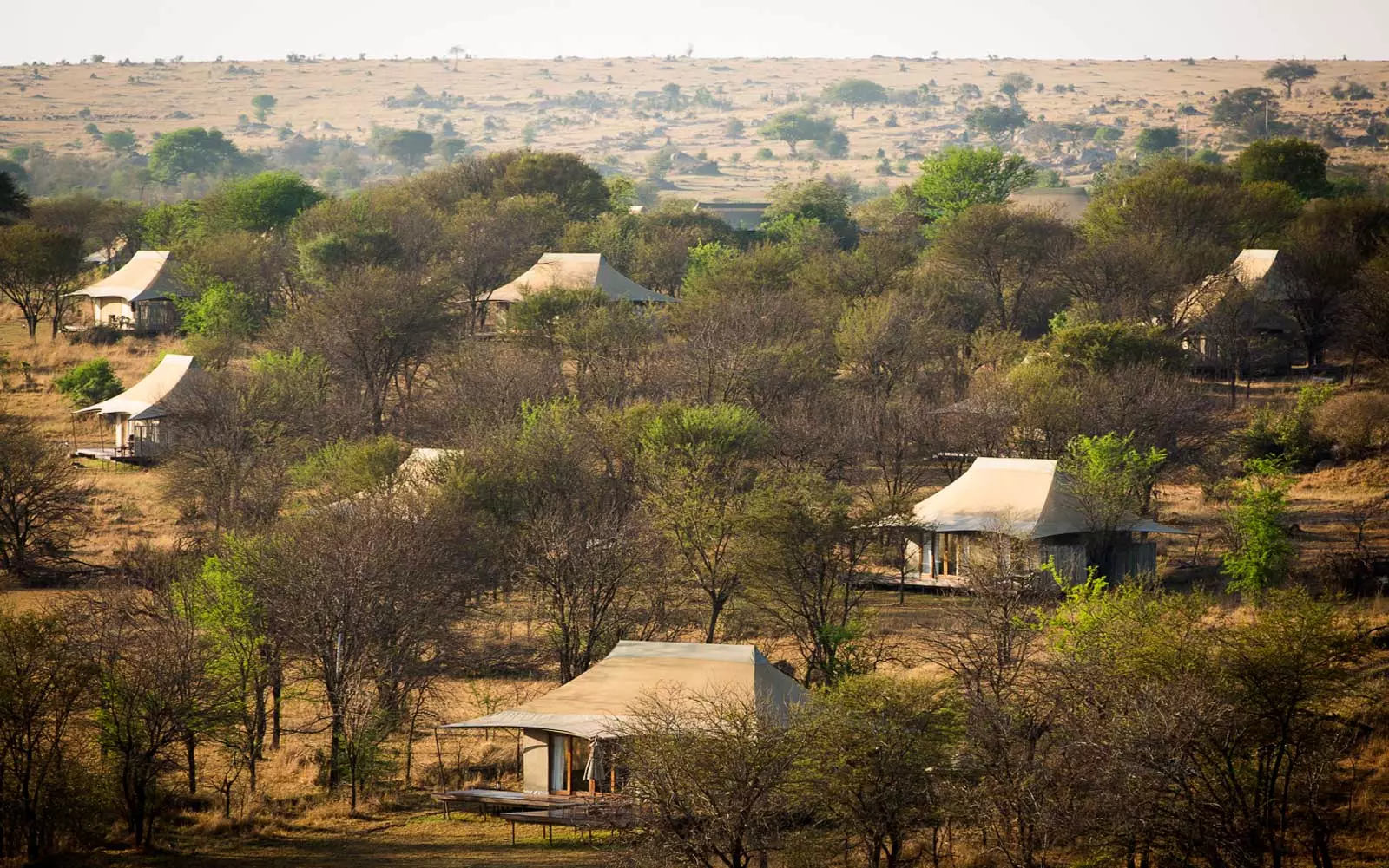 Палаткі ў Sayari Camp Safari ў Сэрэнгэці