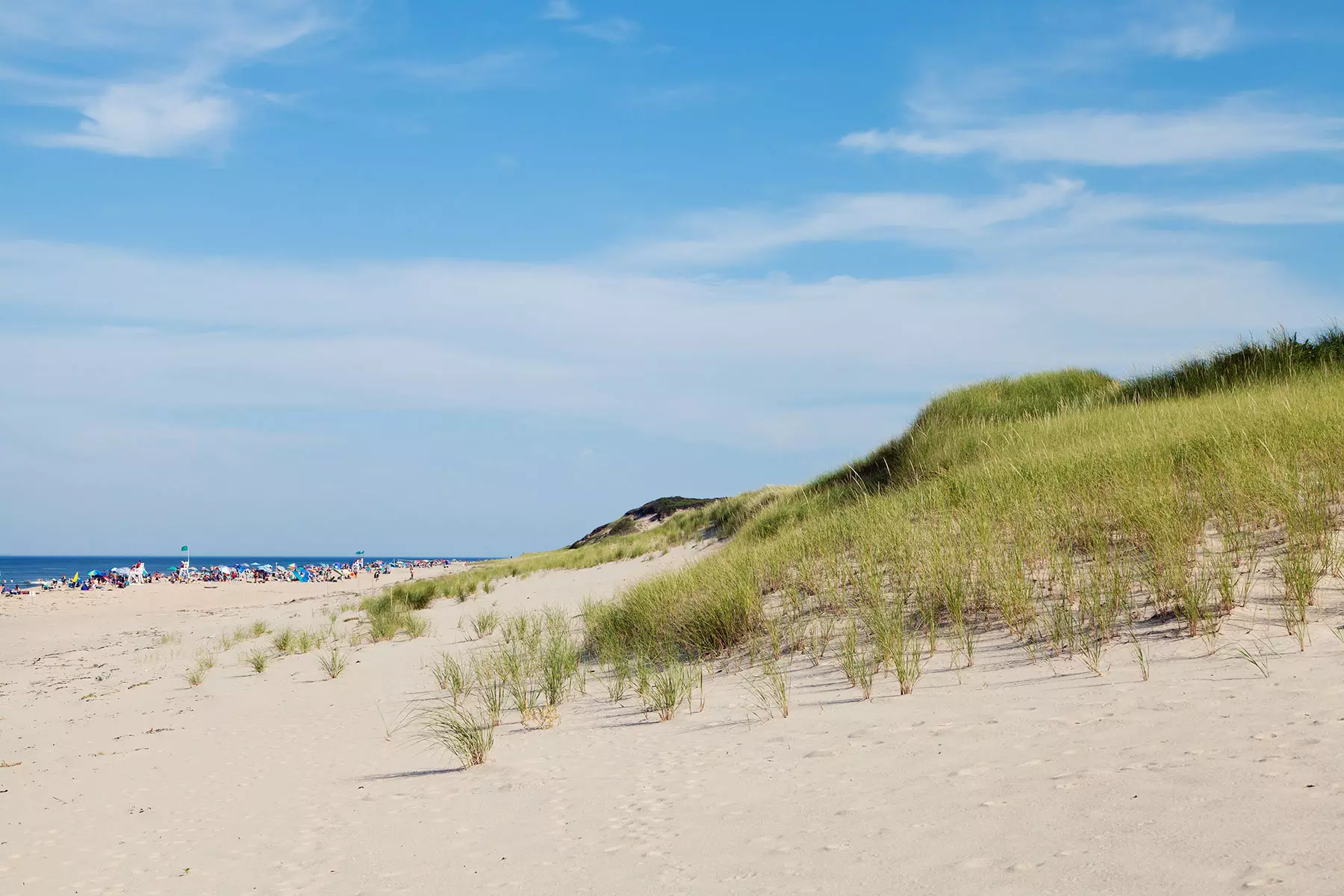 หัวหน้าหาดทุ่งหญ้าบนชายฝั่งทะเลแห่งชาติใน Cape Cod ประเทศสหรัฐอเมริกา