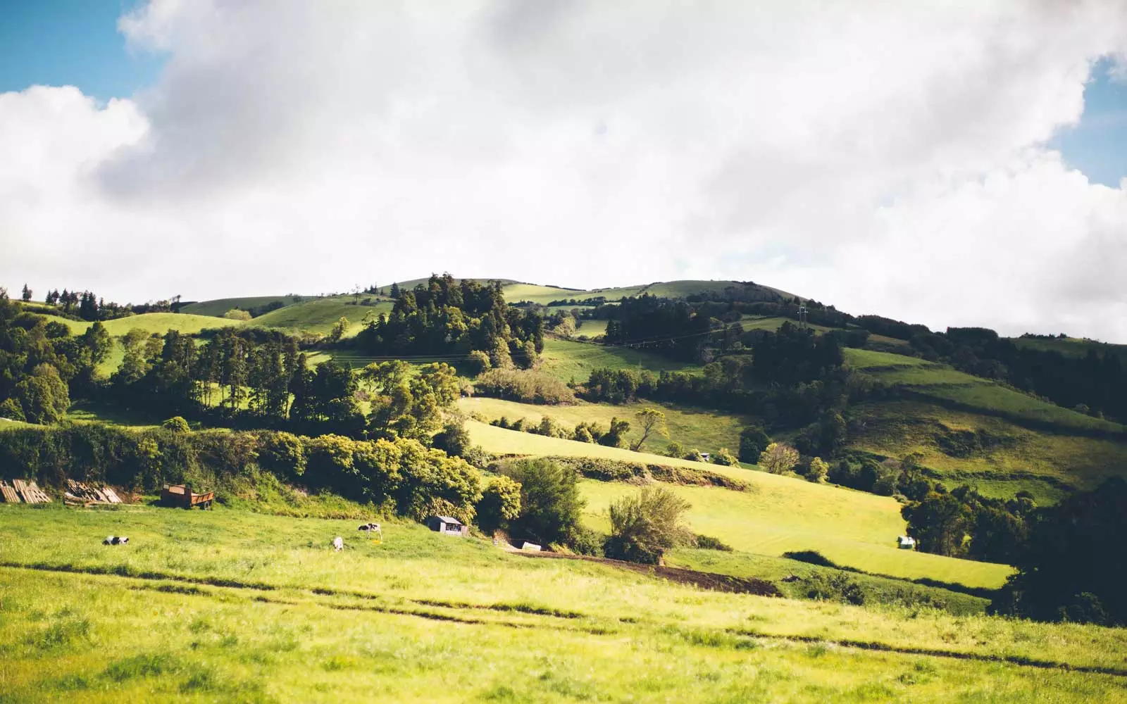 Mutia lanumeamata ma laufanua i Azores