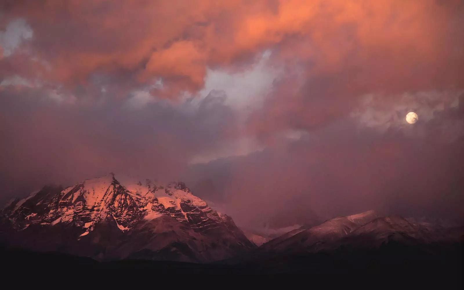 Fotograf Michaela Trimble Patagonia Wycieczka przyrodnicza Chile