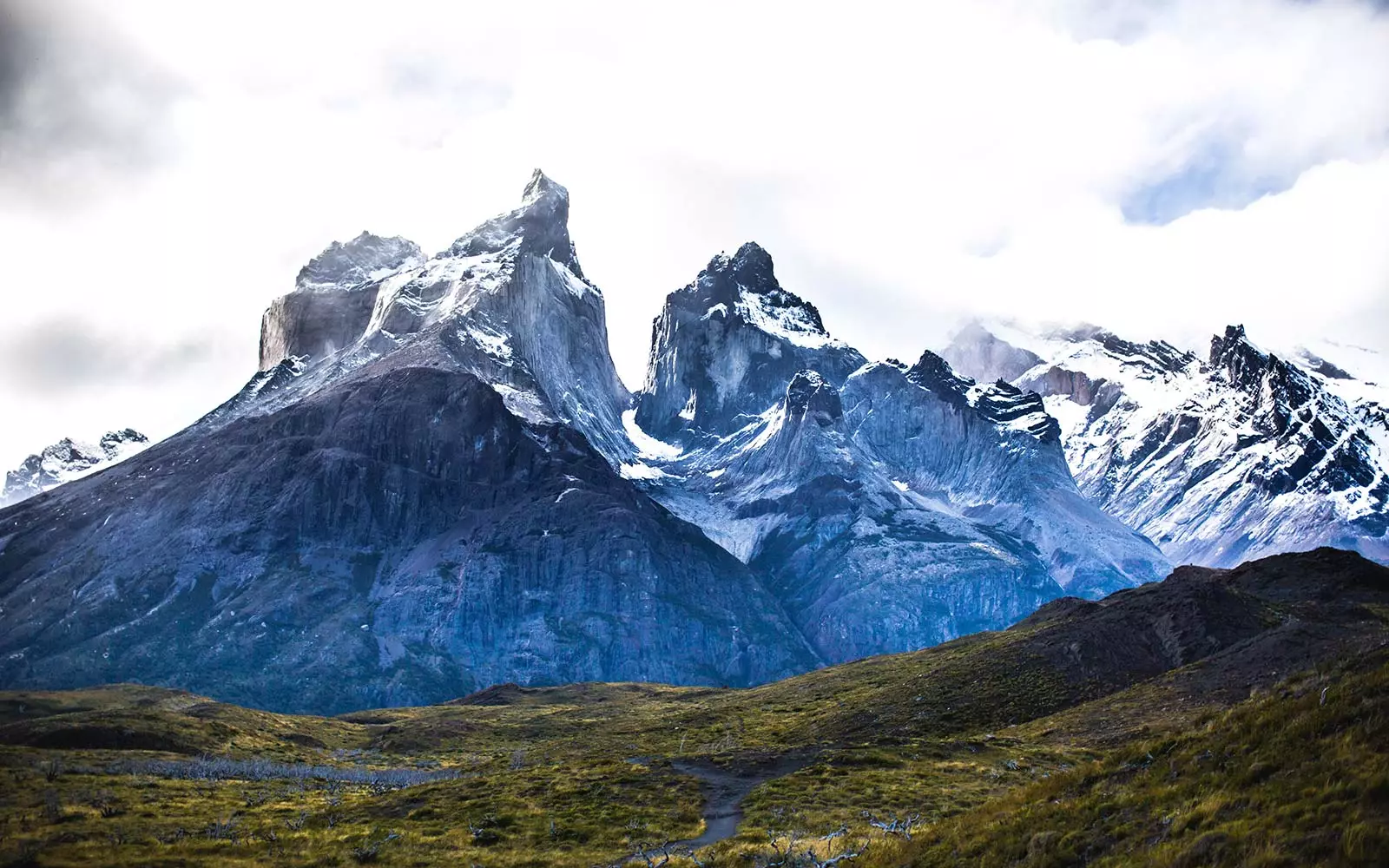 Fotograf Michaela Trimble Patagonia Wycieczka przyrodnicza Chile