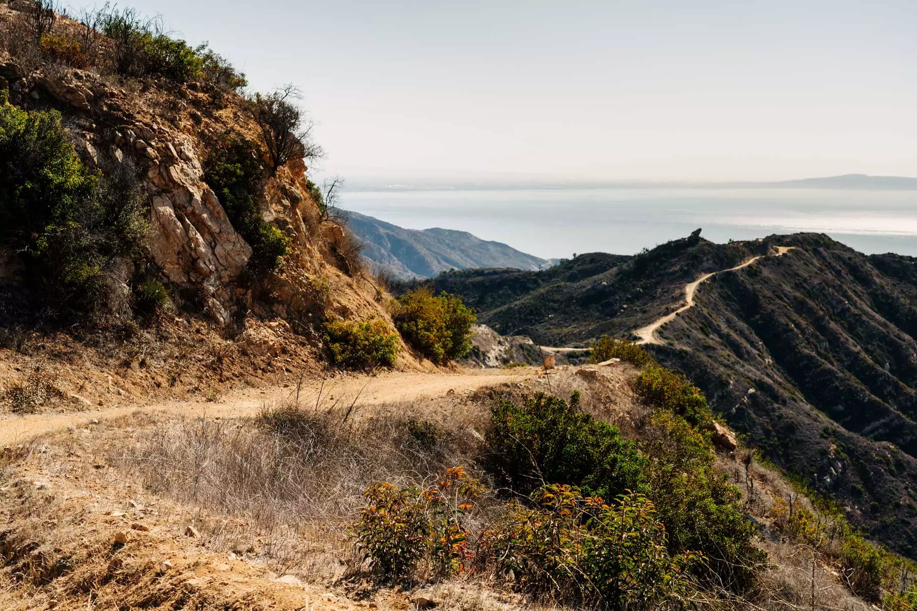 Het Mesa Park Motorway-gedeelte van de Backbone Trail