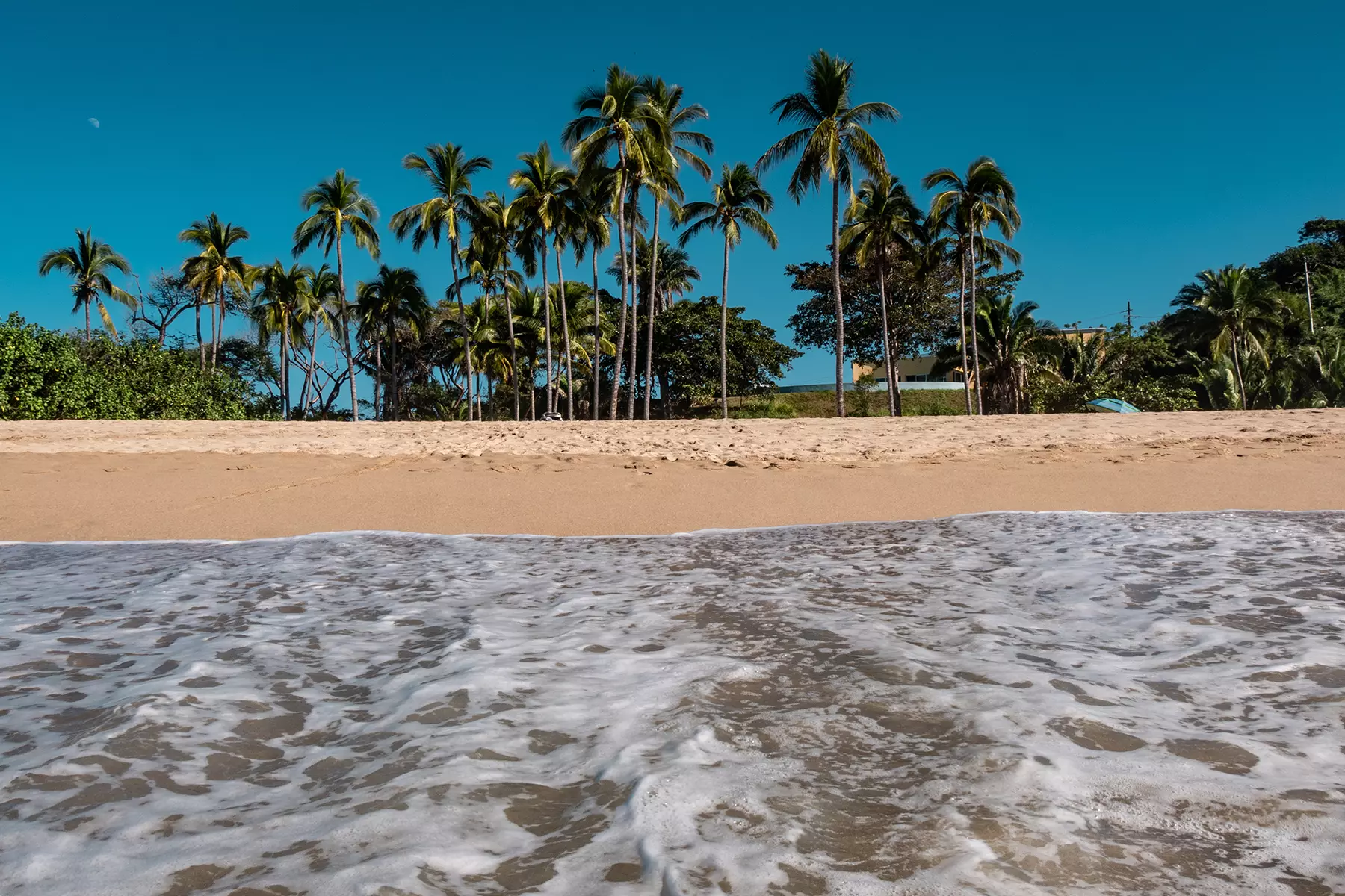 Palmas San Pancho Nayarit pludmalē, Meksikā.