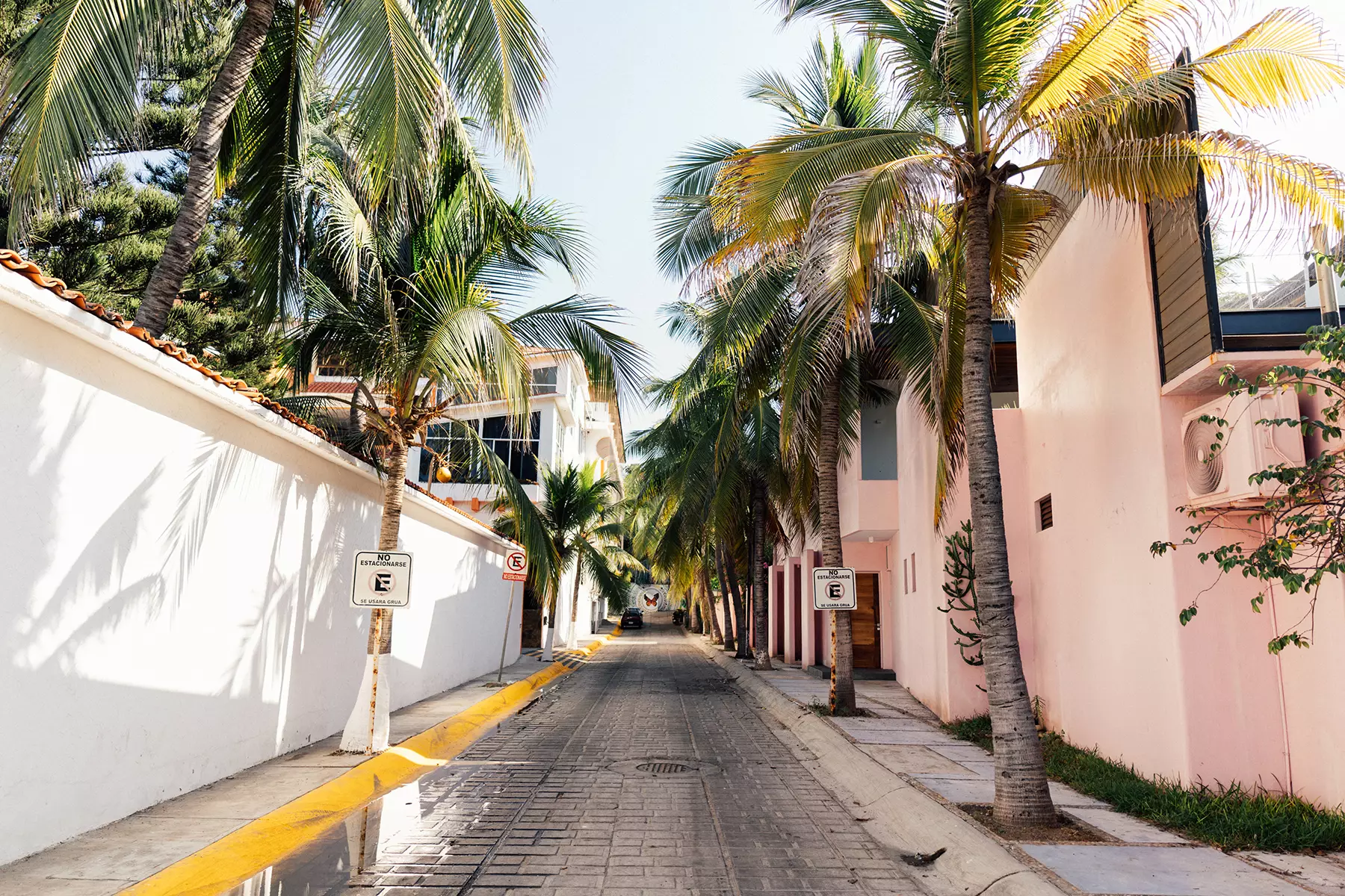 Sānu iela ar palmām Puerto Eskondido.