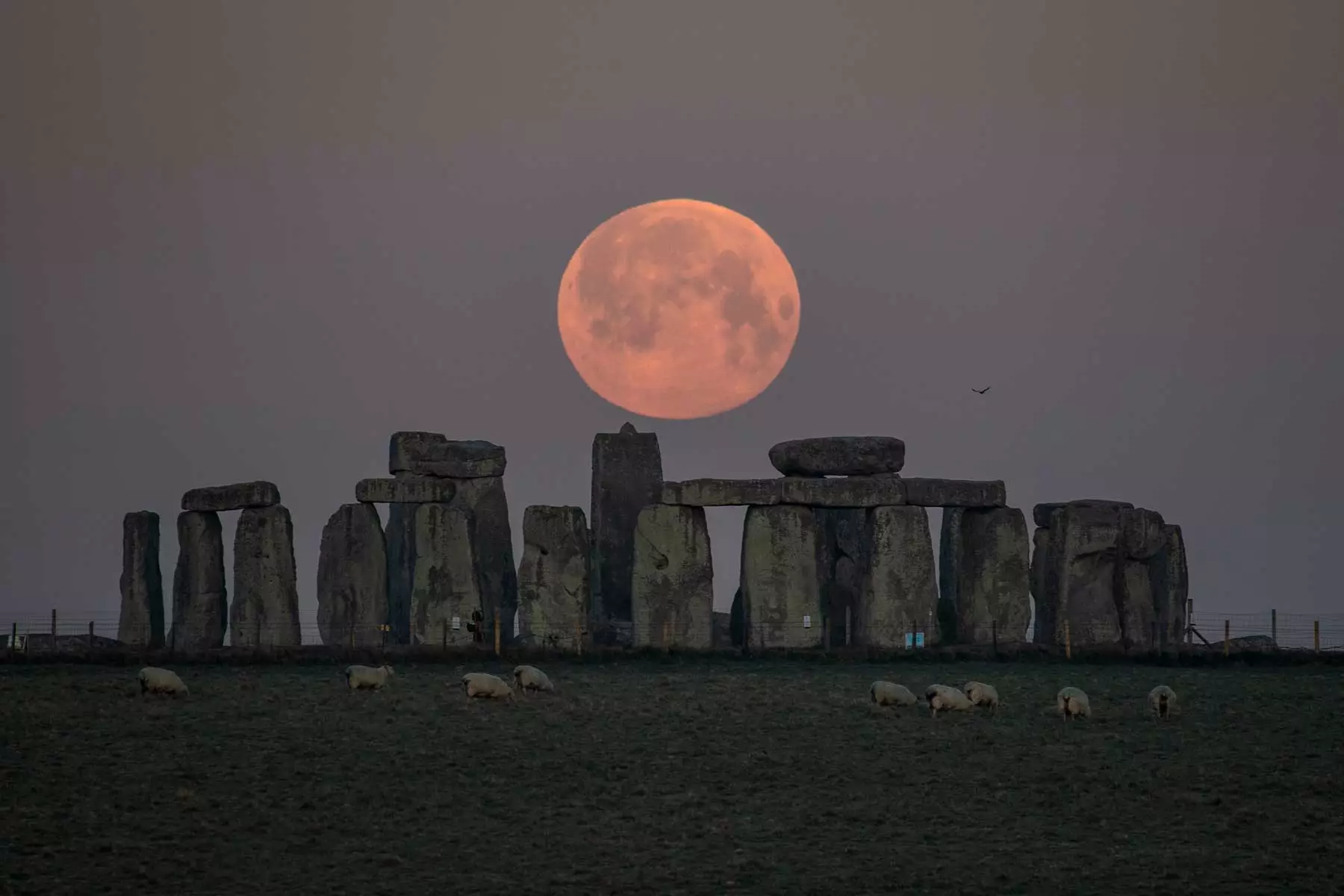 Úplněk zapadá za Stonehenge 27. dubna 2021 v Amesbury v Anglii.