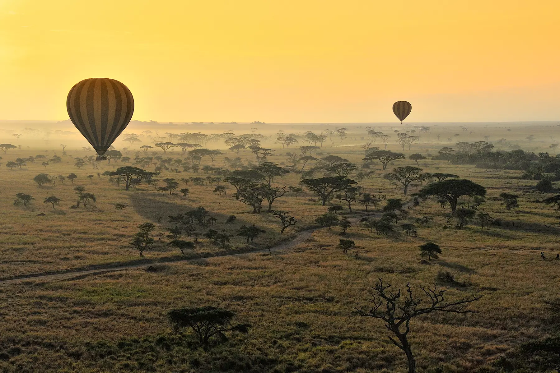 Baloni na vrući zrak pri izlasku sunca iznad Nacionalnog parka Serengeti, Tanzanija