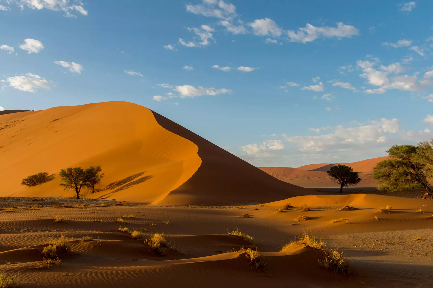 နမီးဘီးယားရှိ Namib-Naukluft အမျိုးသားဥယျာဉ်၊ Sossusvlei ဧရိယာရှိ ပန်းရောင်သဲသောင်ခုံ