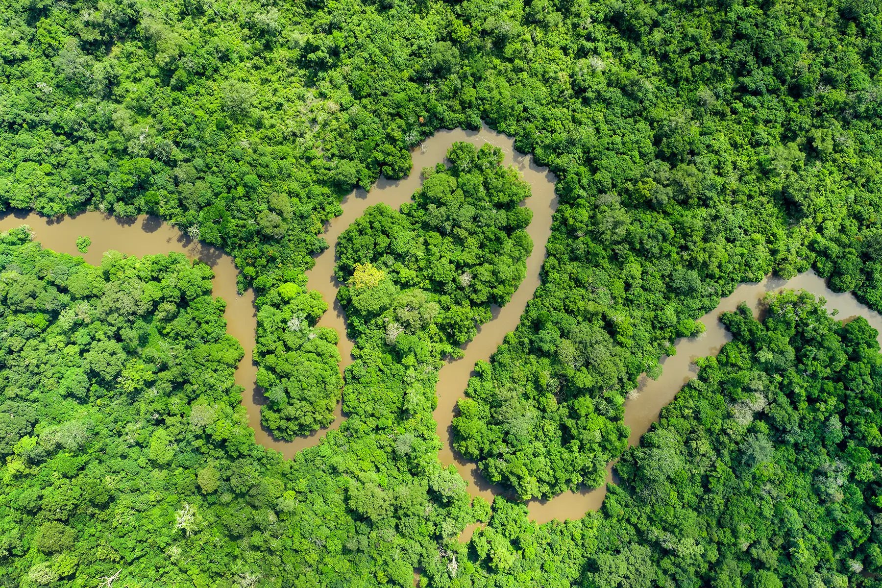 Pemandangan udara hutan hujan Lembangan Congo di Taman Negara Odzala, Republik Congo