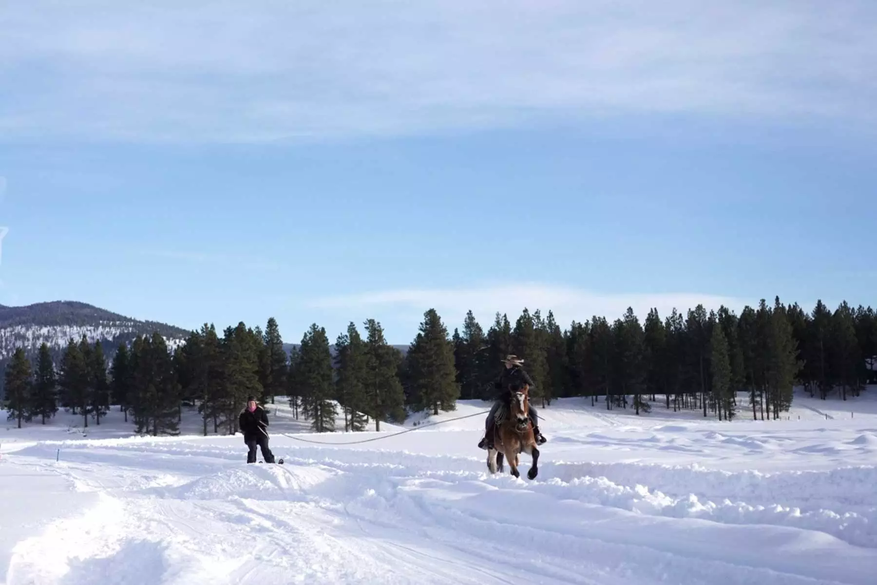 Skijoring ni Green O ohun asegbeyin ti ni Montana