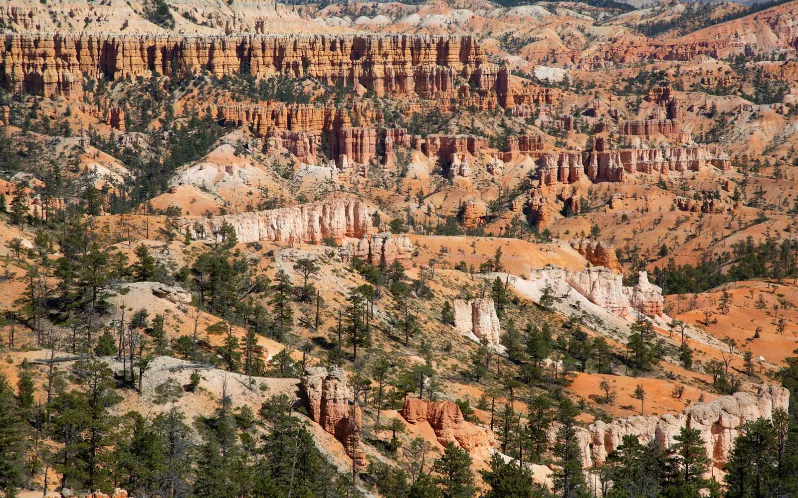 ອຸທະຍານແຫ່ງຊາດ Bryce Canyon ໃນລັດ Utah