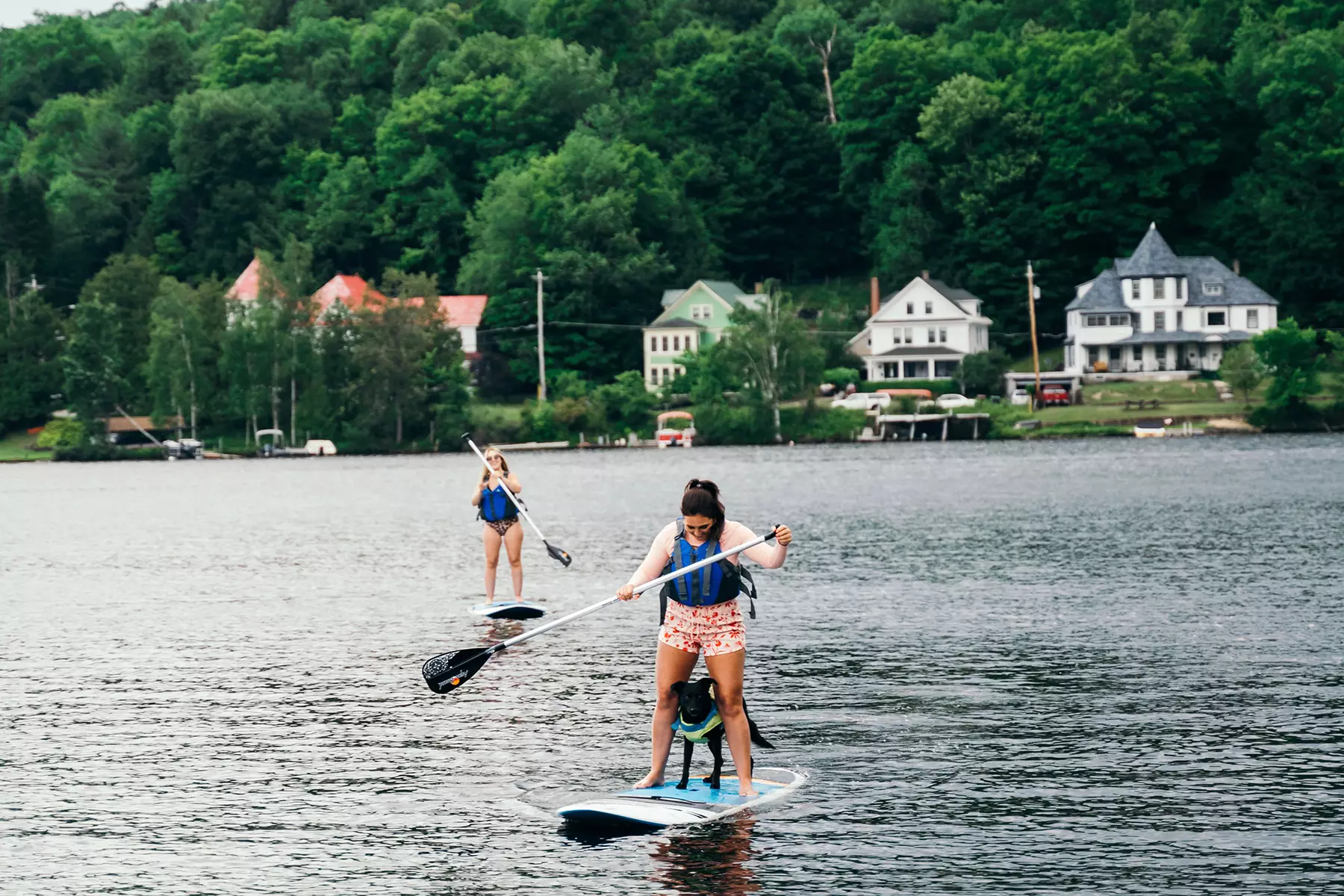 Lướt ván với một chú chó Saranac Waterfront Lodge