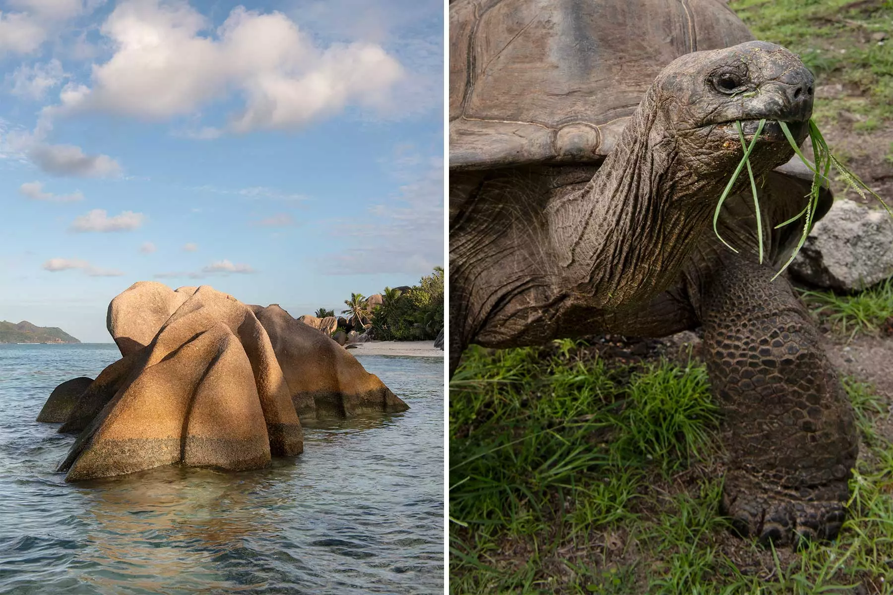 Dalawang larawan ang bumubuo sa Seychelles, ang isa ay nagpapakita ng mga natatanging rock formation sa isla ng La Digue, at ang isa ay nagpapakita ng larawan ng isang pagong sa Desroches