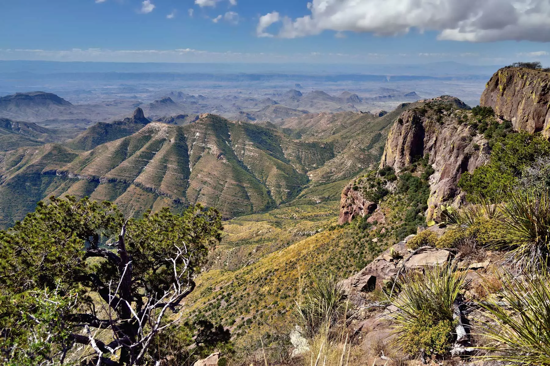 ท้องฟ้าสีครามและเมฆเหนือยอดเขาและเชิงเขาของเทือกเขา Chisos บนเส้นทาง South Rim ในอุทยานแห่งชาติ Big Bend