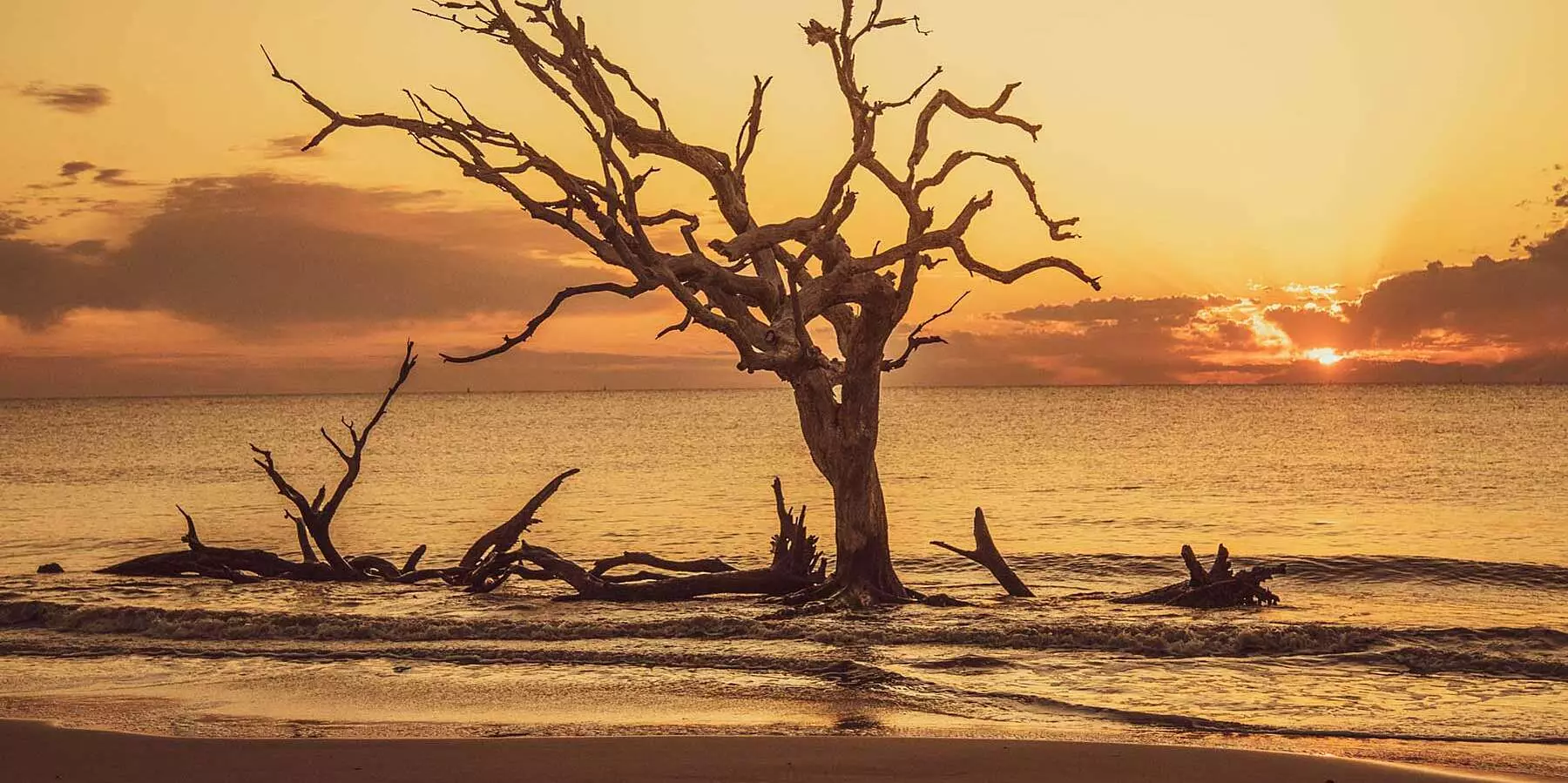 Dit eiland in Georgia heeft een van de beste stranden in de VS - bekend om zijn unieke en prachtige achtergrond