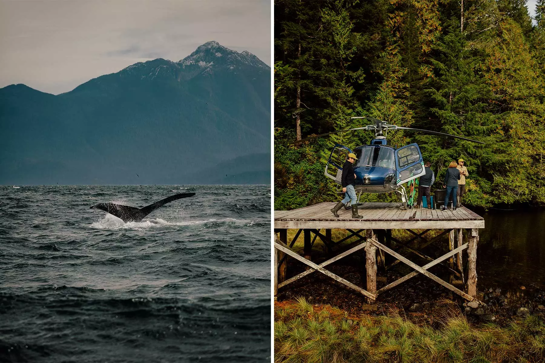 Duas fotos da área do Nimmo Bay Resort, na Colúmbia Britânica, mostrando a cauda de uma baleia e um helicóptero sendo carregado