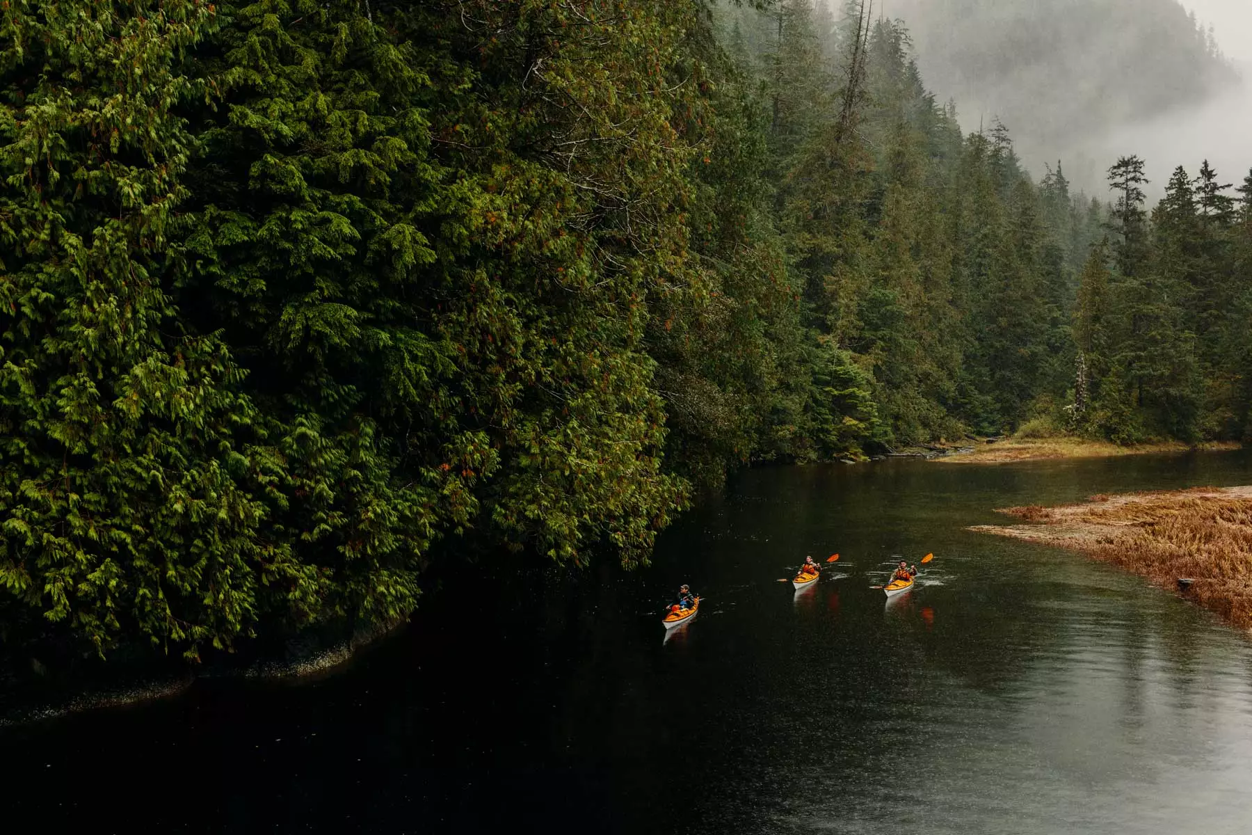 Wisata kayak sareng Clayoquot Wilderness Lodge di Kanada