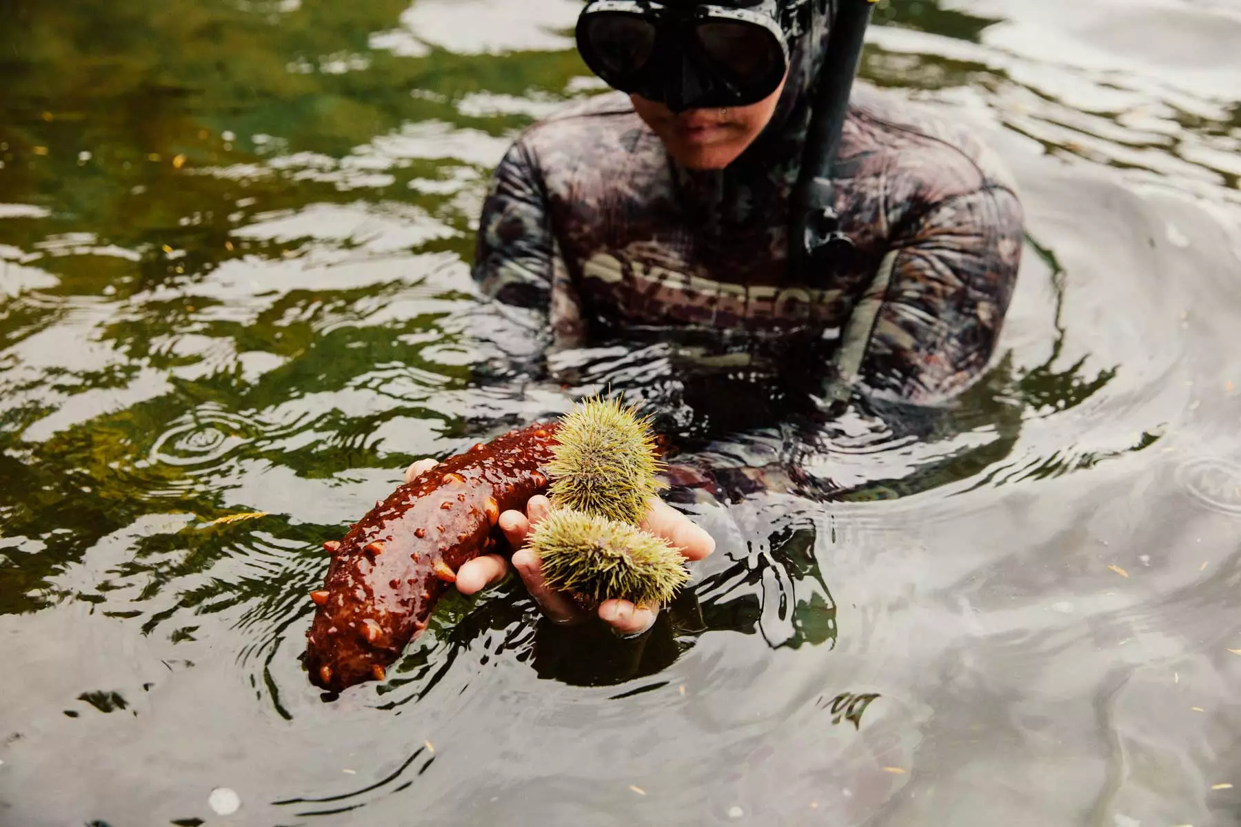 A omuwe gbigba okun kukumba ati urchins