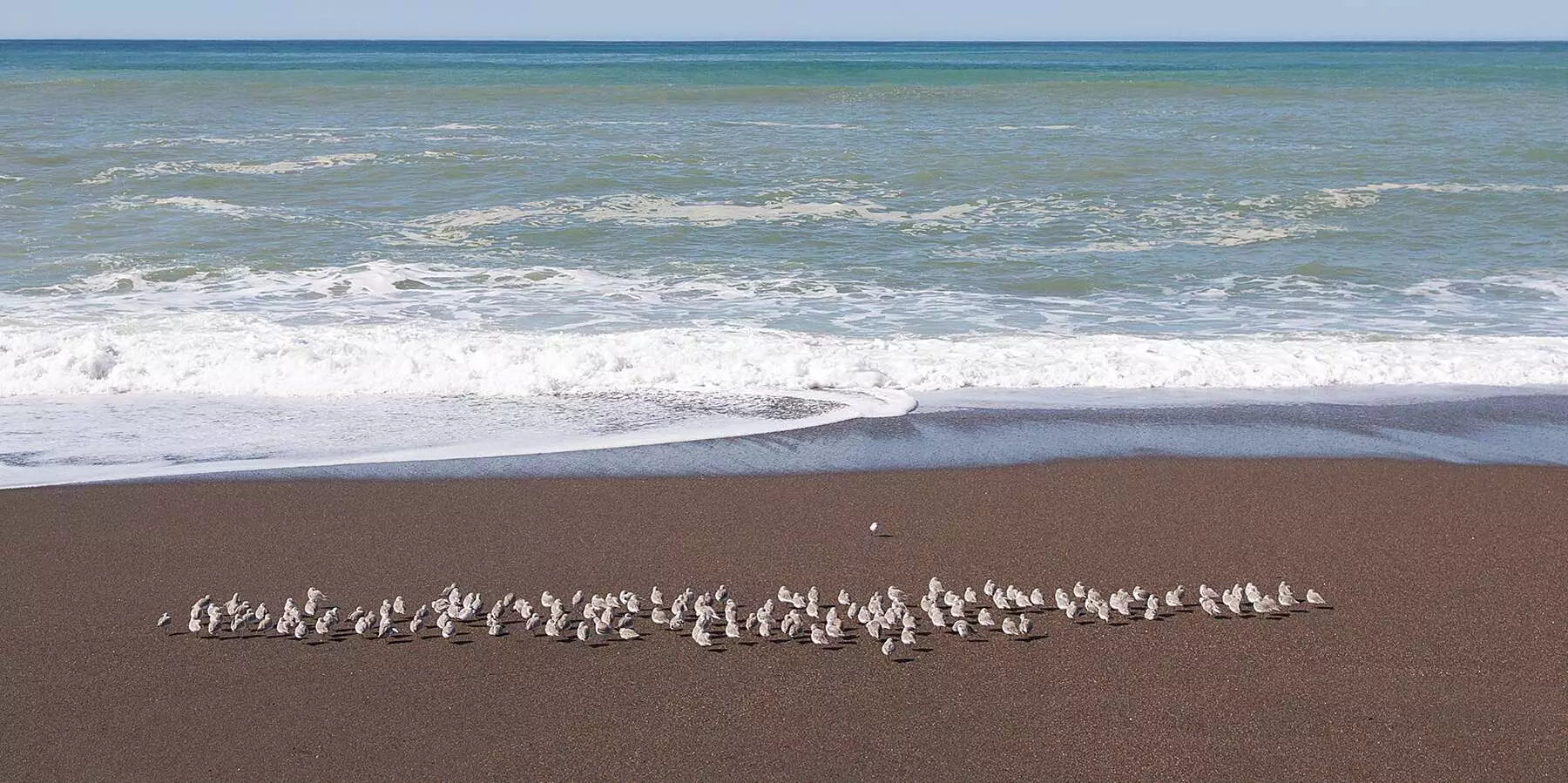 Questa città costiera poco conosciuta della California ha una delle migliori spiagge degli Stati Uniti