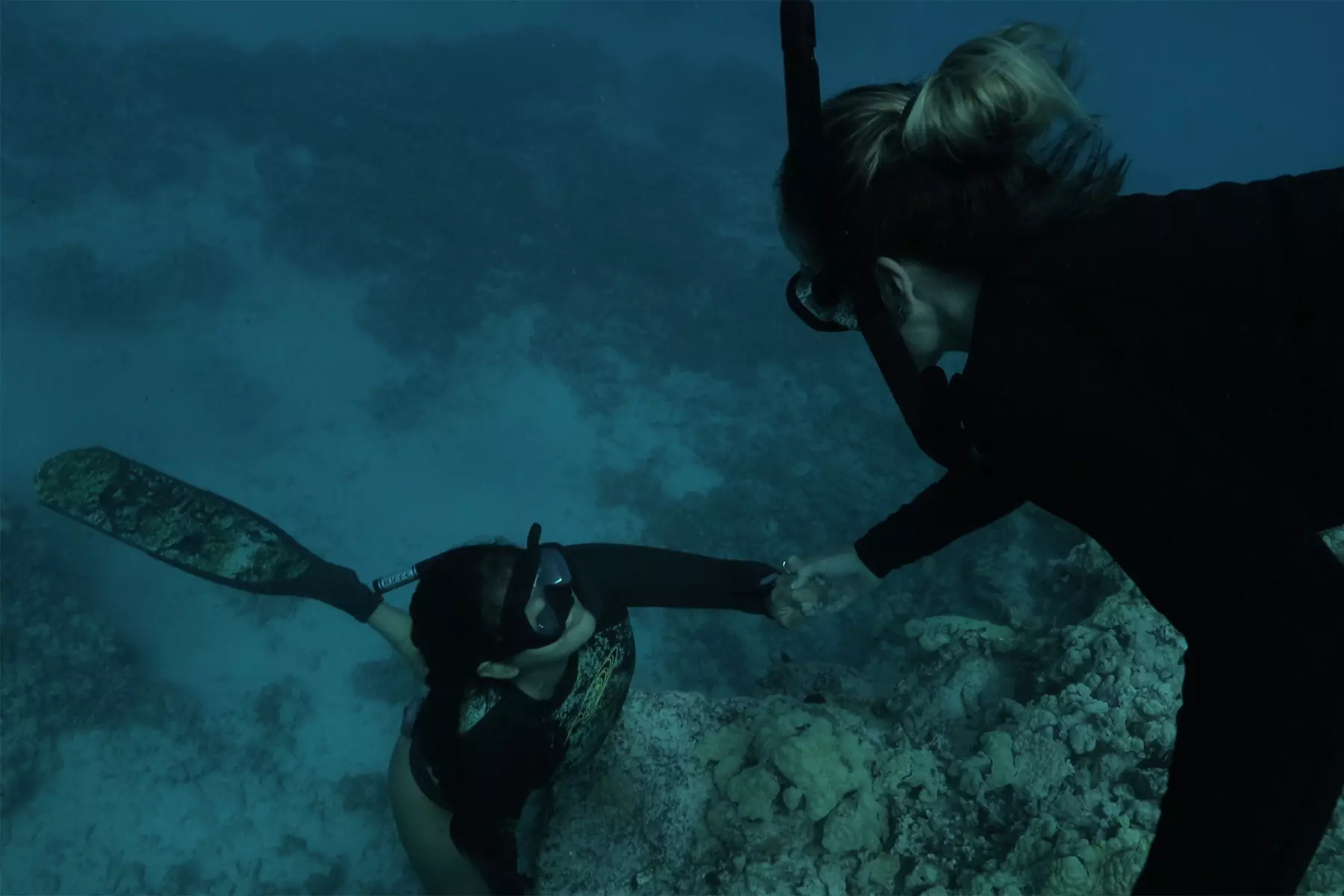 Libre nga diving video gihapon sa Four Seasons Resort Hualalai