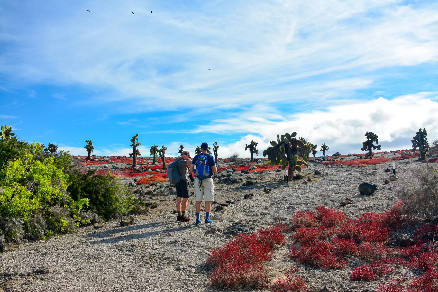 Dalawang tao na nagtutuklas sa South Plazas sa Galapagos