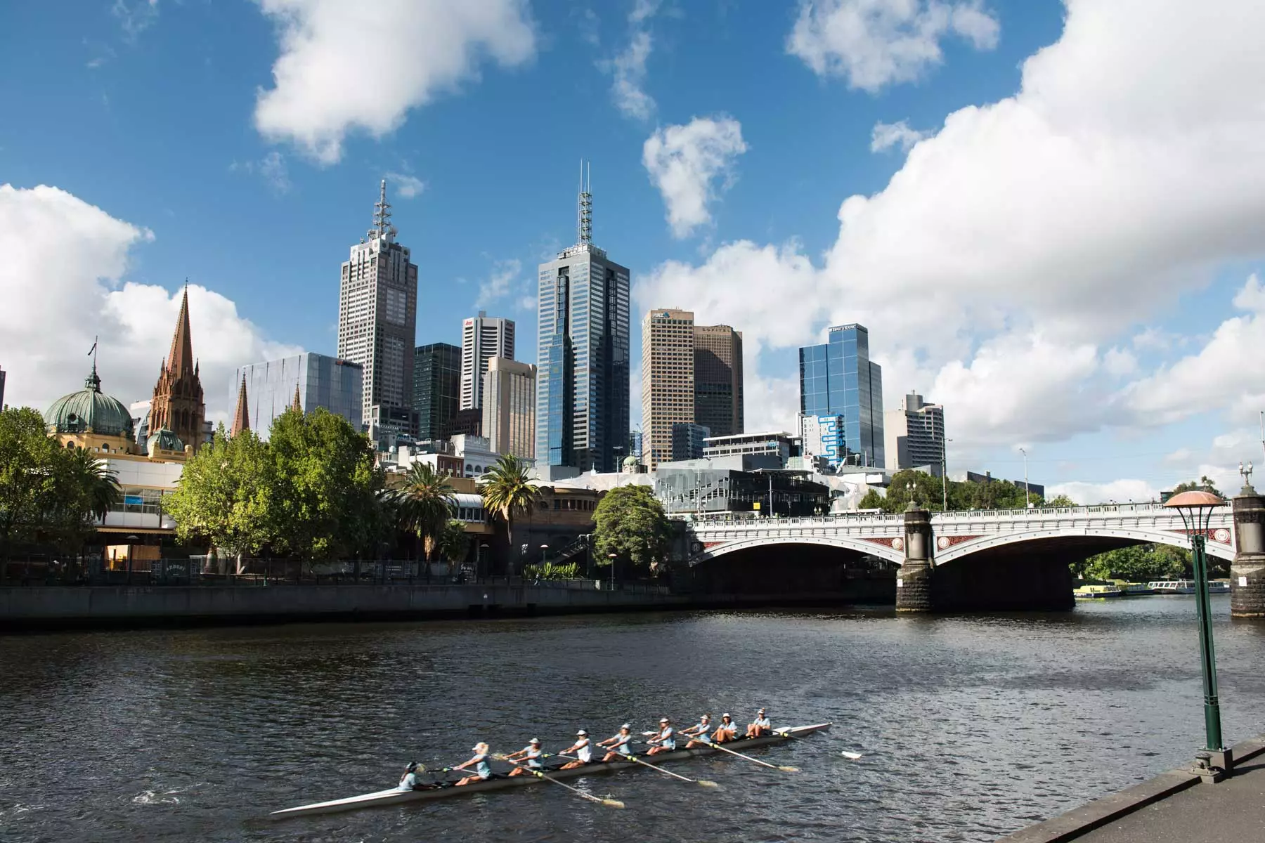 Veslači na Yarri u Melbourneu