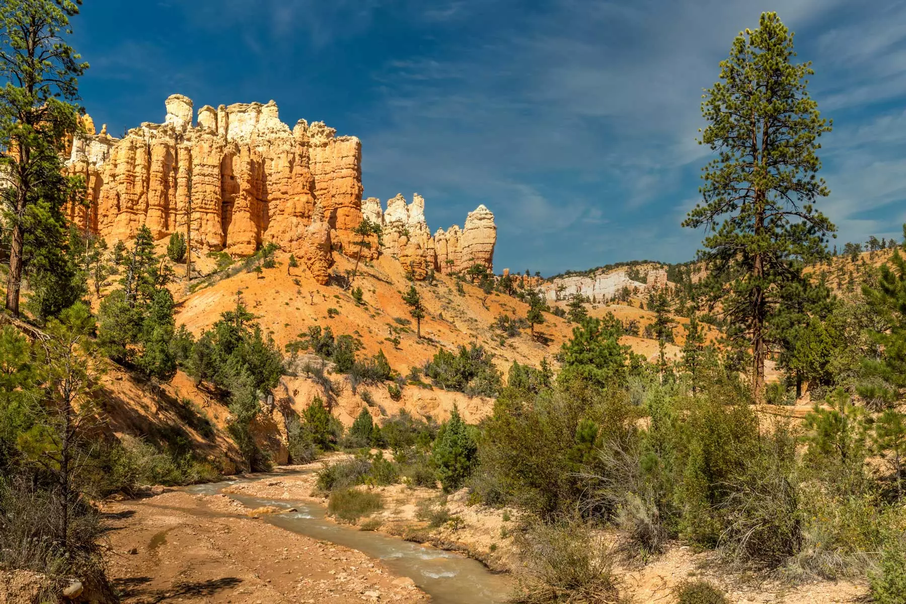 Hoodoos av Bryce Canyon sett från den mossiga grottlunden