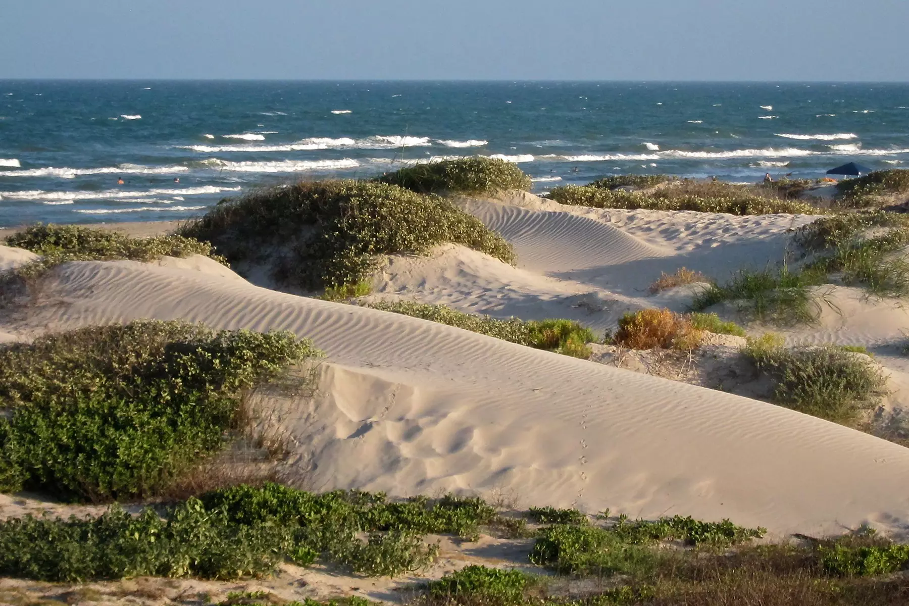 Sand dunes sa Padre Island's North Beach