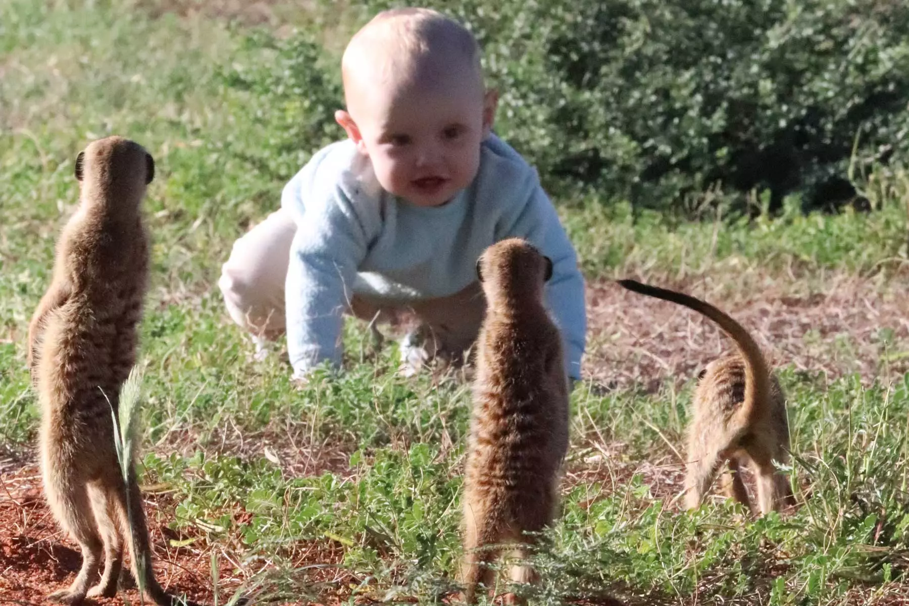 南アフリカのサファリで生後10ヶ月の赤ちゃんを持つRomeyn家族