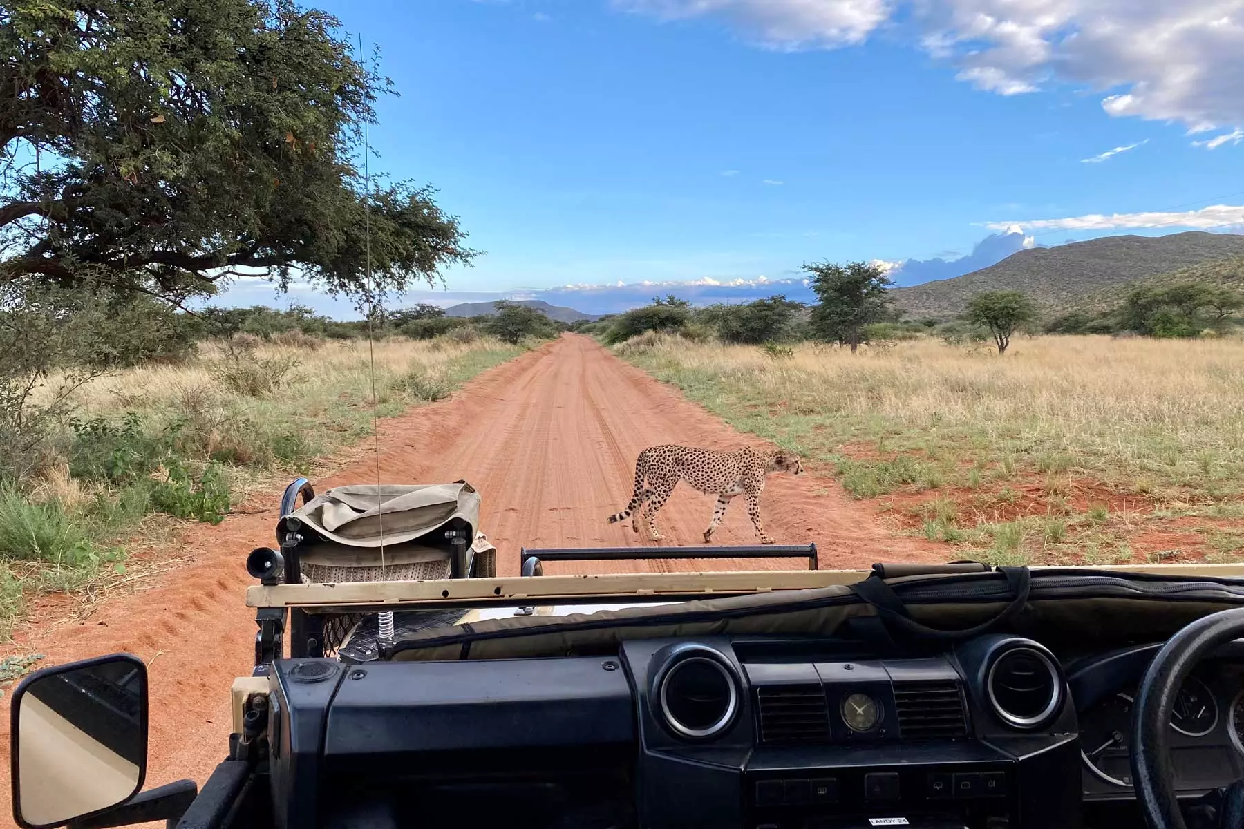 Romeyn Family amin'ny safari any Afrika Atsimo miaraka amin'ny zazakely 10 volana