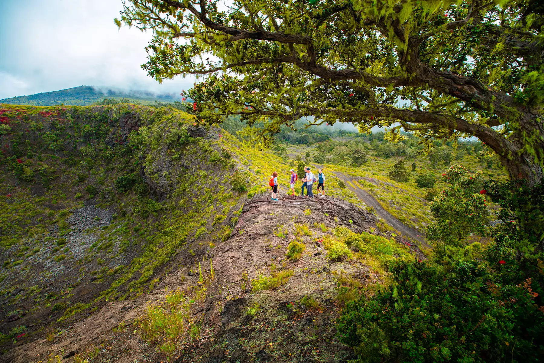 Խմբակային քայլարշավ Hidden Craters Hike-ով