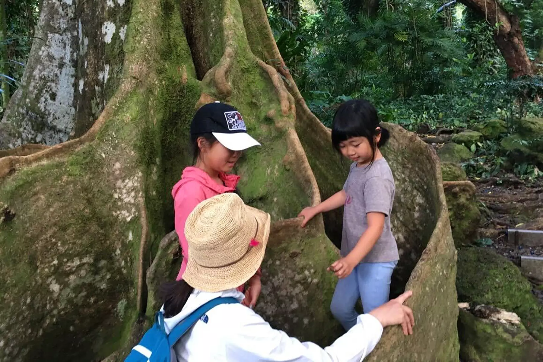 হাওয়াইয়ে শিশুদের বন স্নান