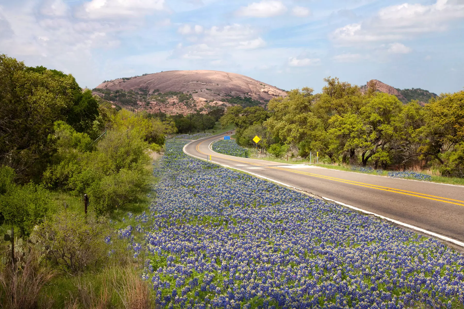 Ffordd grwm a Texas Bluebonnets gyda Enchanted Rock yn y pellter