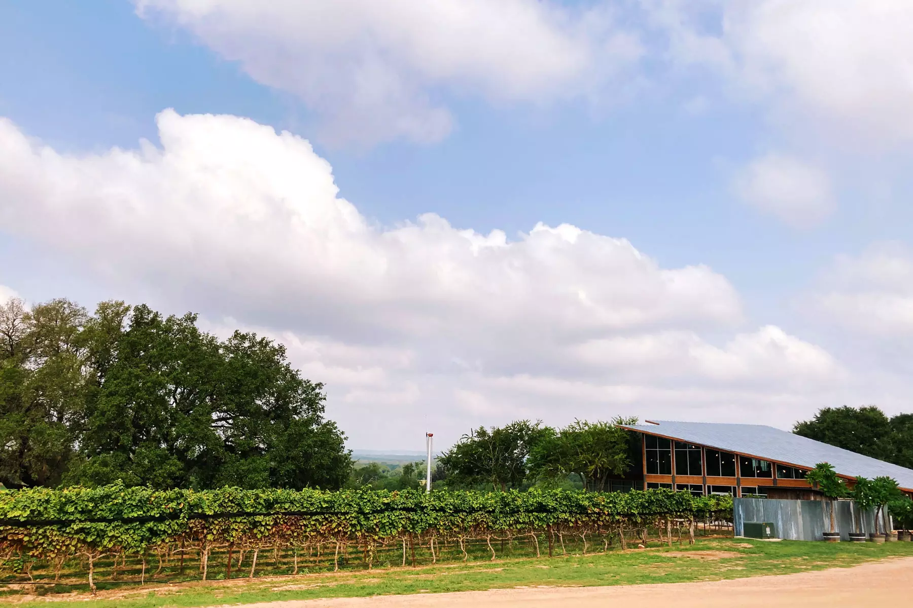 Viñedo y edificio del centro de bienvenida en William Chris Vineyards en Hye, Texas