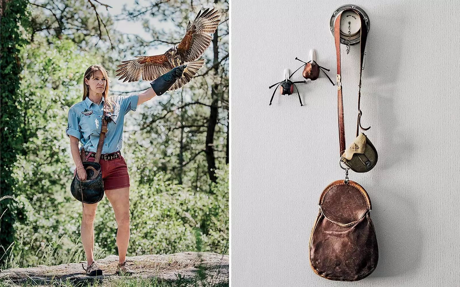 Mga talan-awon gikan sa Broadmoor hotels falconry program, lakip ang trainer, falcon, ug tradisyonal nga gamit