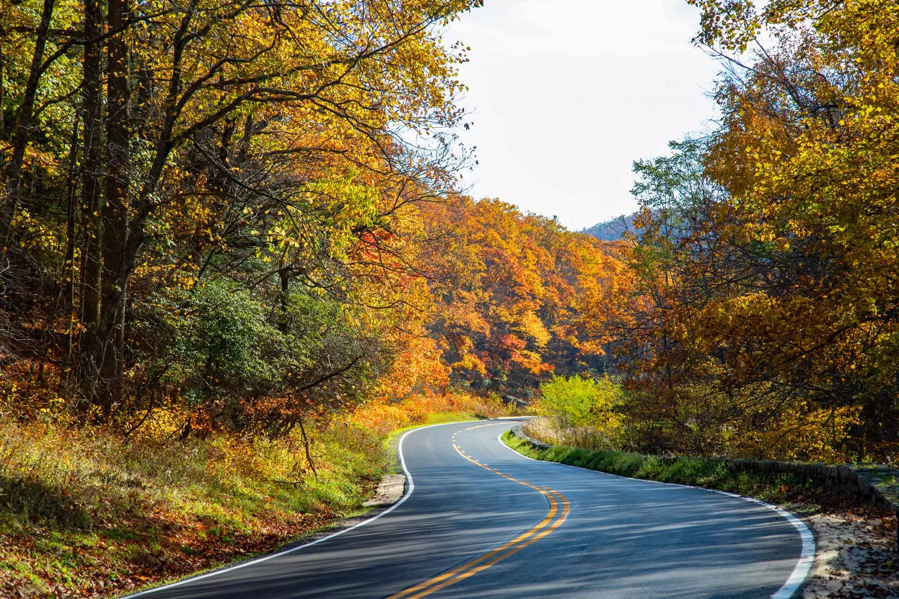 ဆောင်းဦးတွင် Shenandoah ပန်းခြံရှိ Skyline Drive