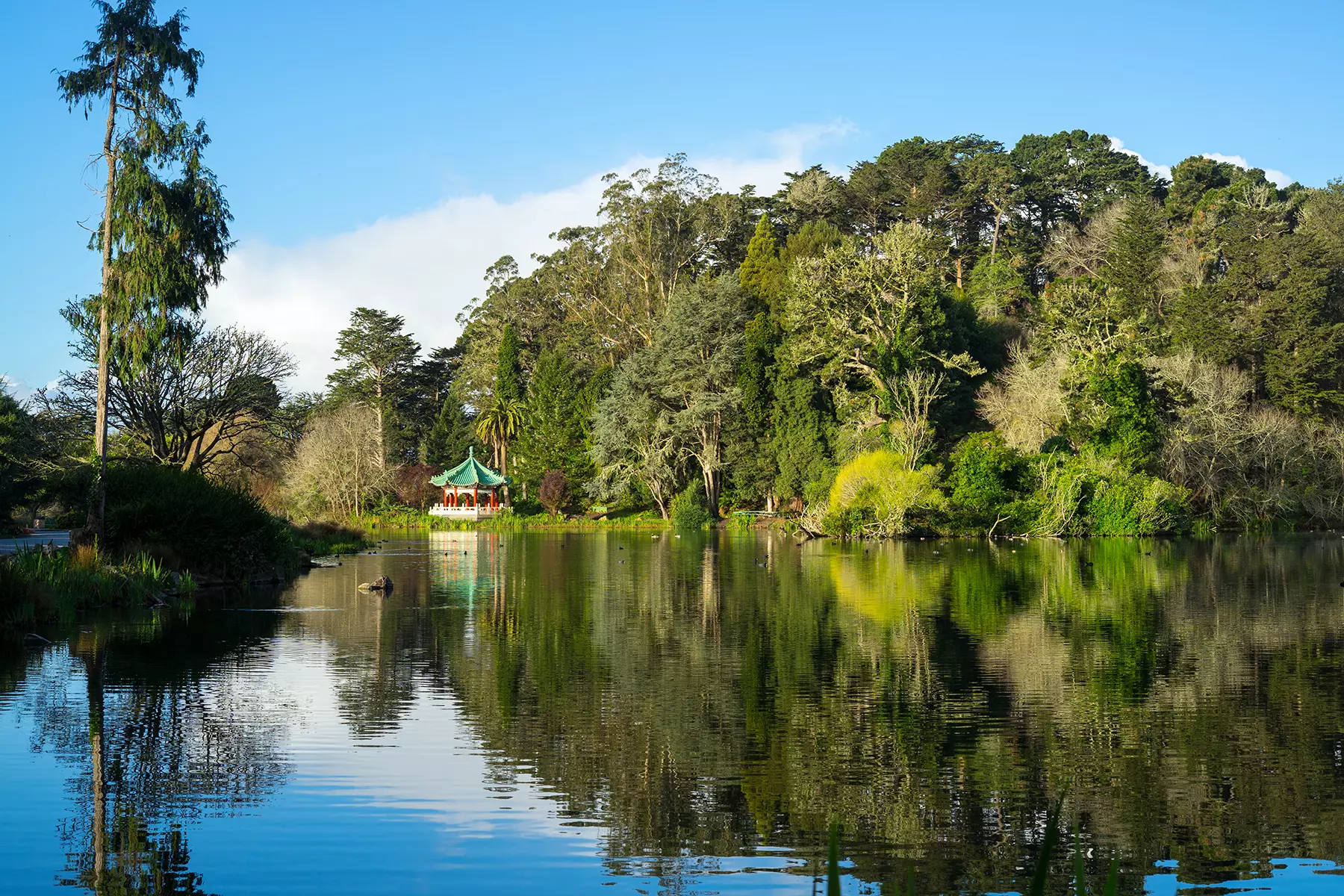 Ny toerana mangina amin'ny maraina eo akaikin'ny Stow Lake.