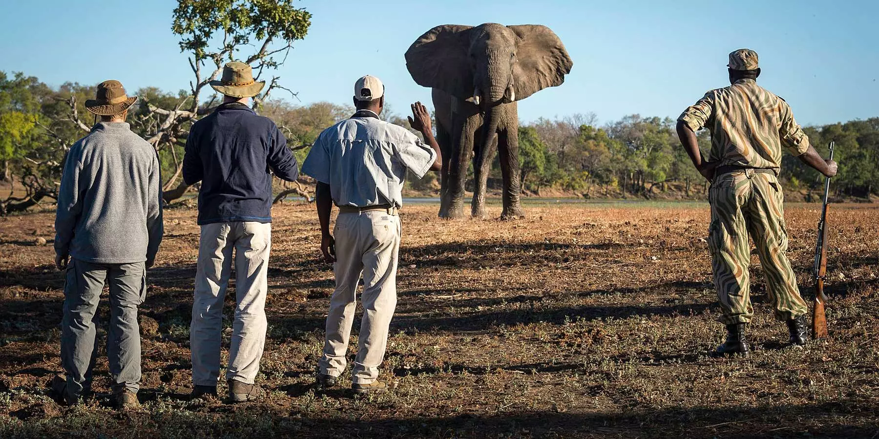 8 fantastiske vandresafarier rundt om i verden for eventyrlystne rejsende