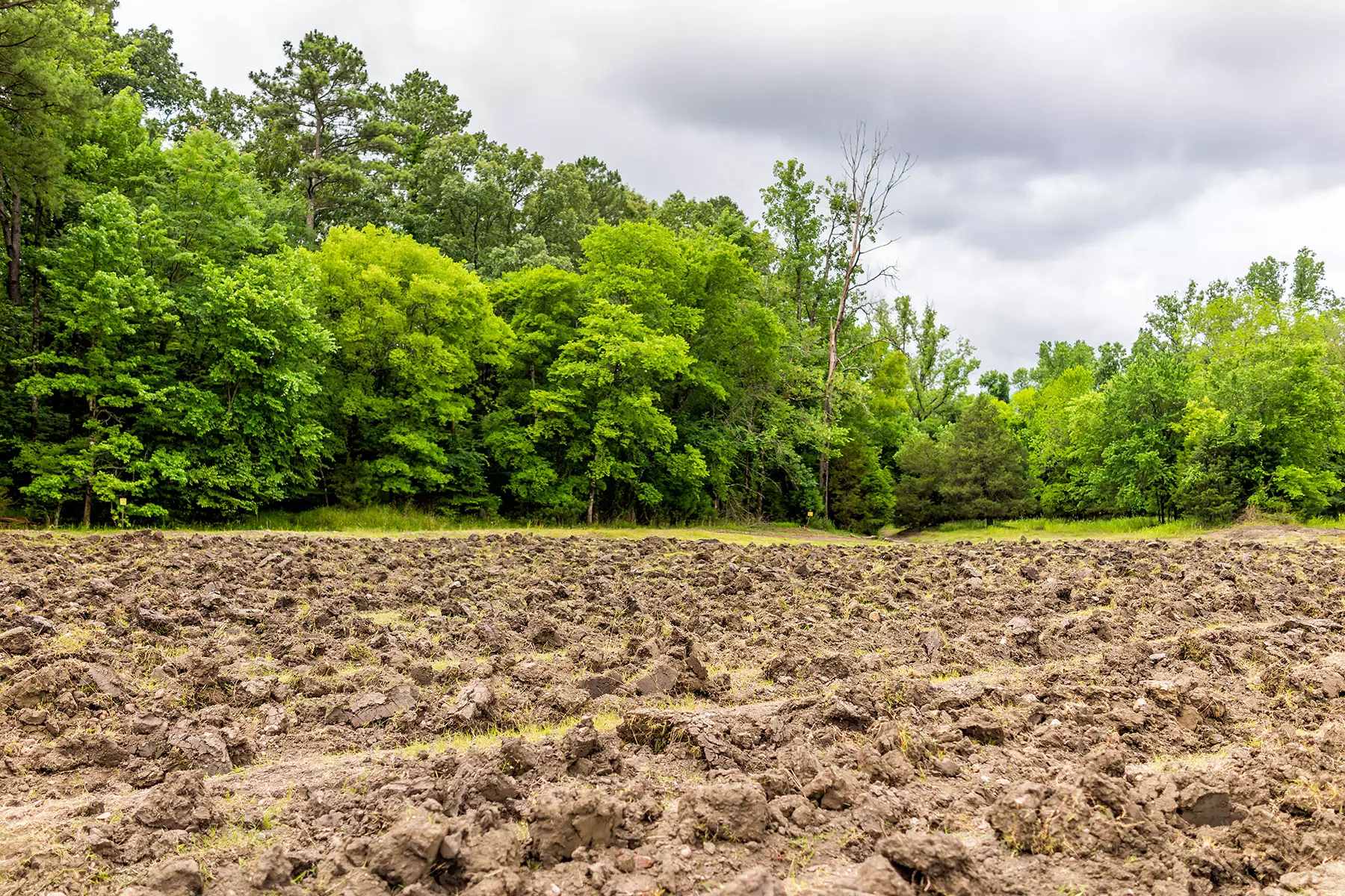 Crater of Diamonds State Park met geploegde bruine grond in Arkansas vuillandschap weide veld en niemand