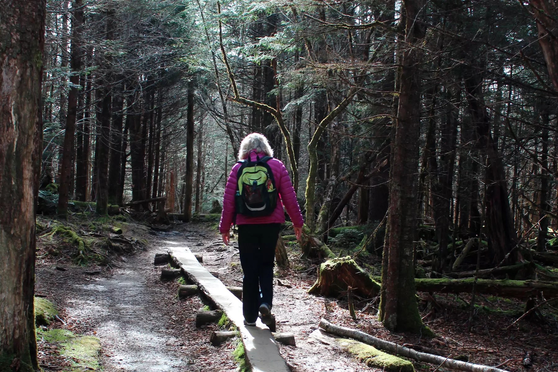 wanita berjalan di Forney Ridge Trail, Great Smoky Mountains