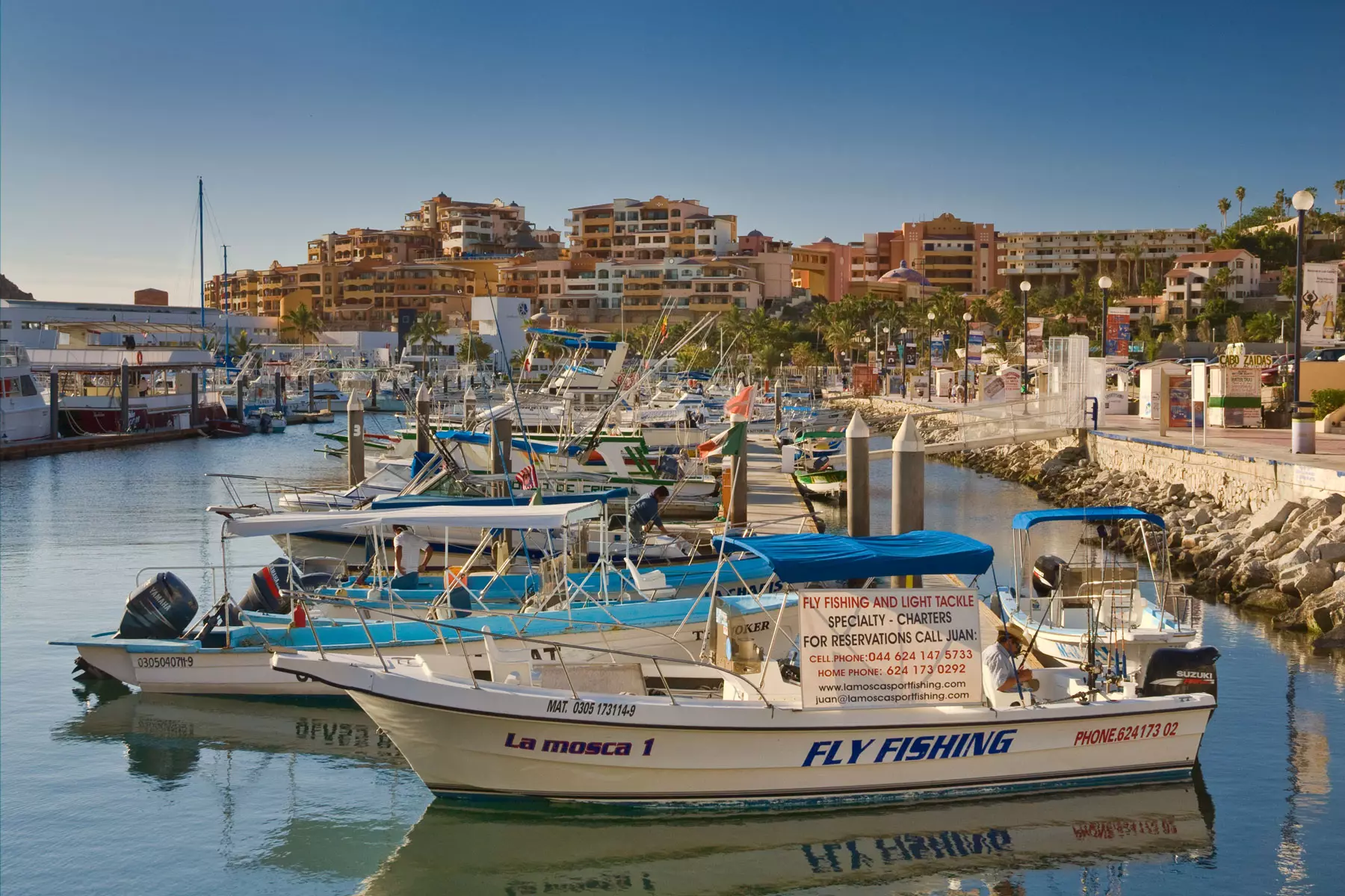 perahu di marina di Cabo San Lucas