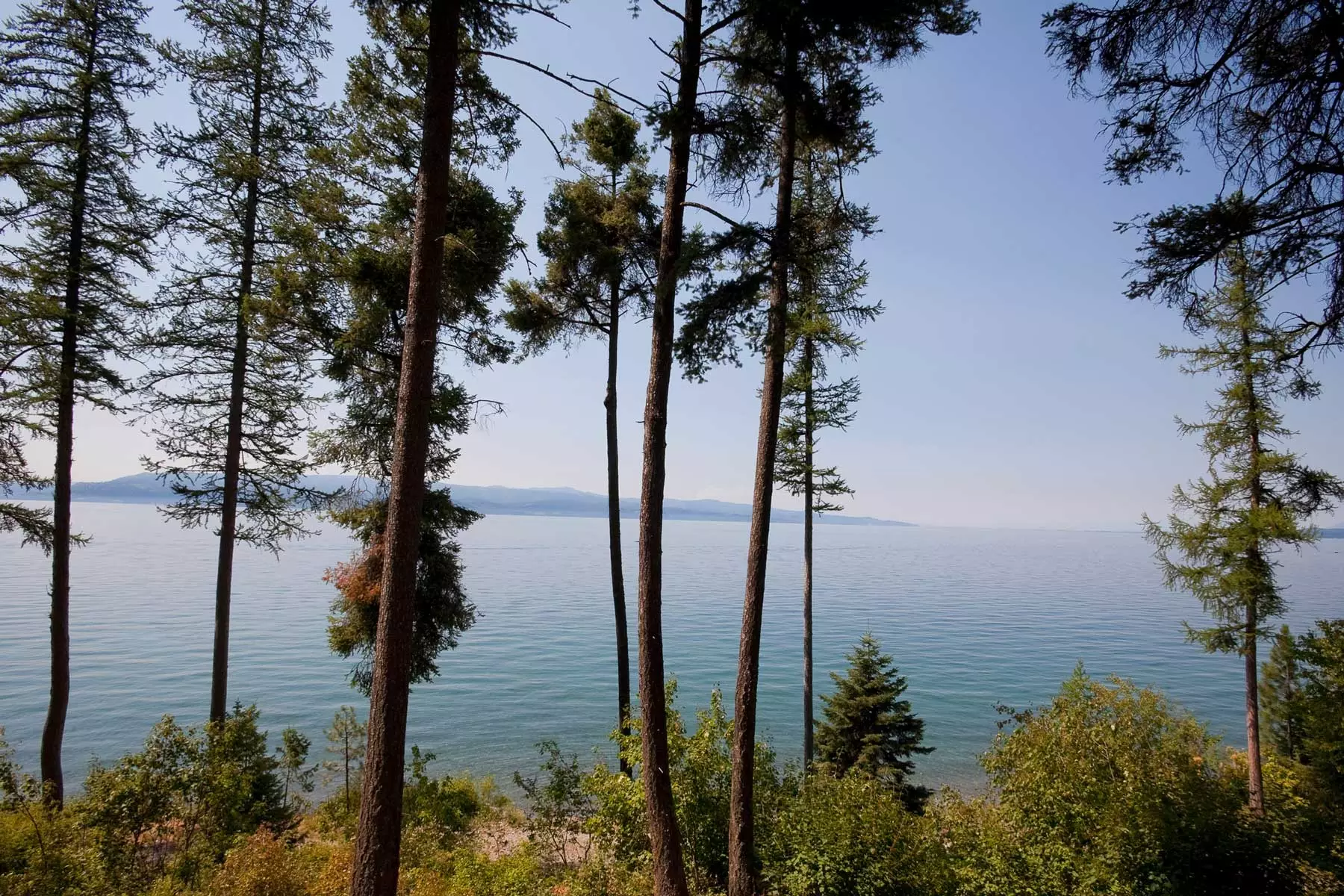 Héichwénkel Vue vum Flathead Lake duerch d'Beem zu Montana