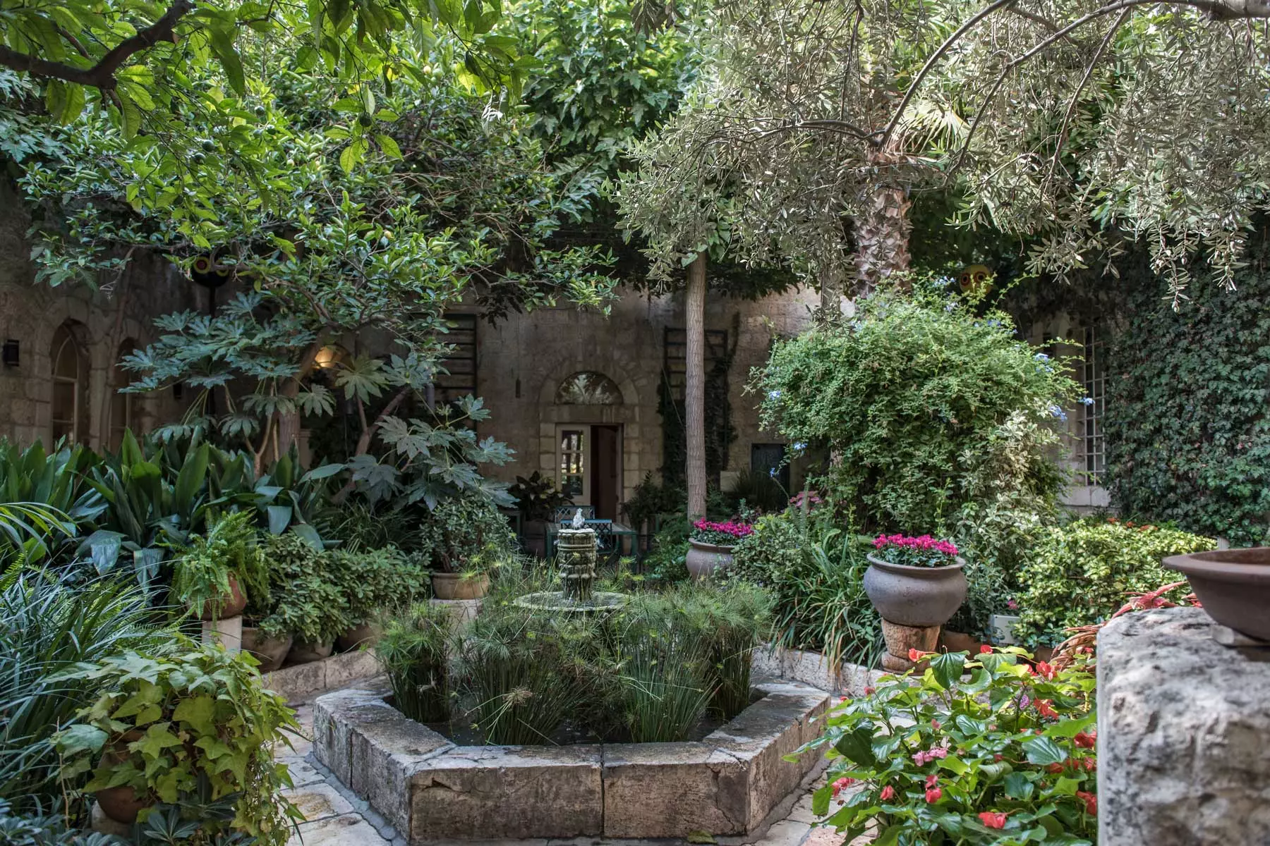 Jardin de la cour verdoyante d'un hôtel