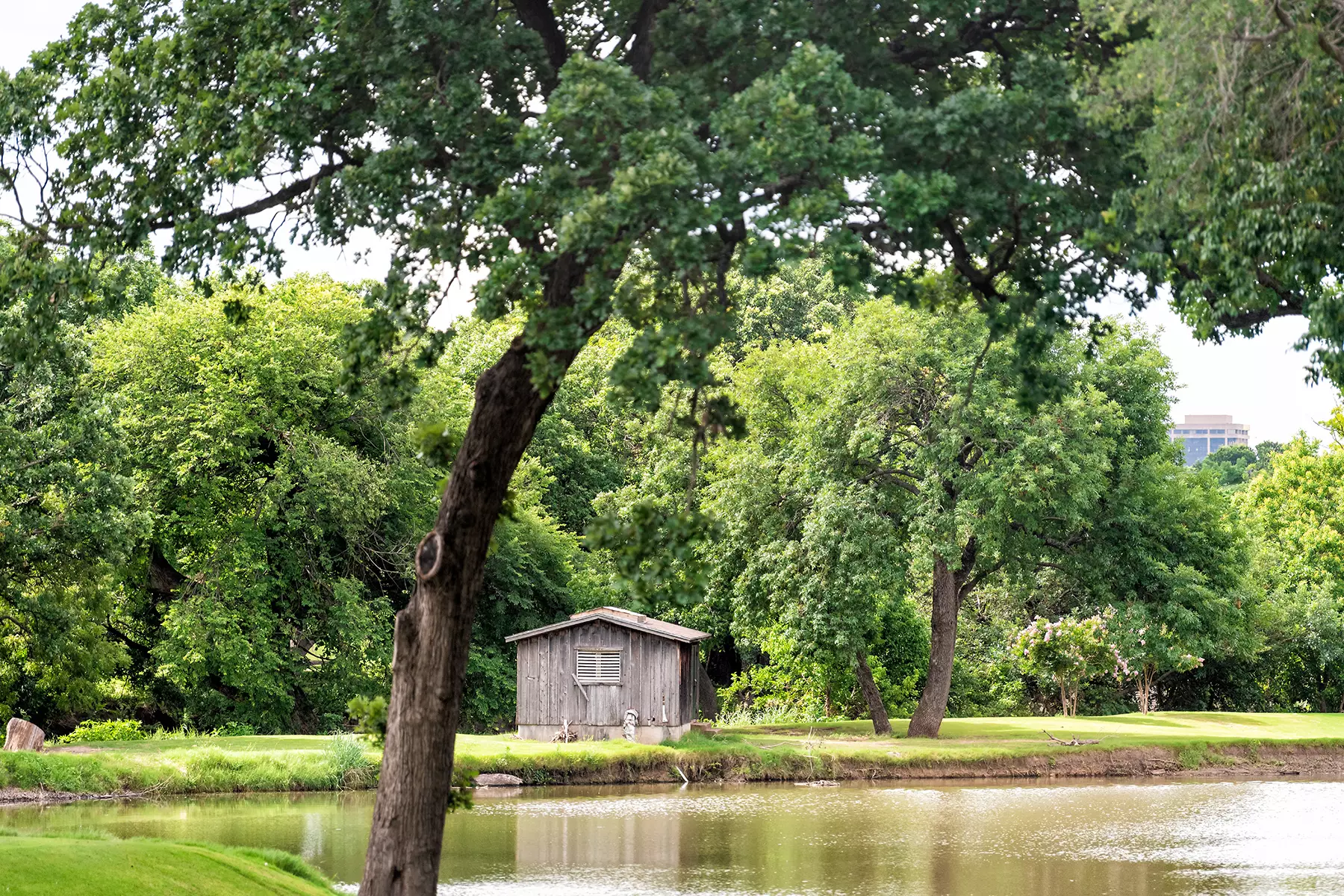 Công viên cây xanh trung tâm thành phố với hồ nước và cabin tòa nhà nhỏ với cây cối ở Addison