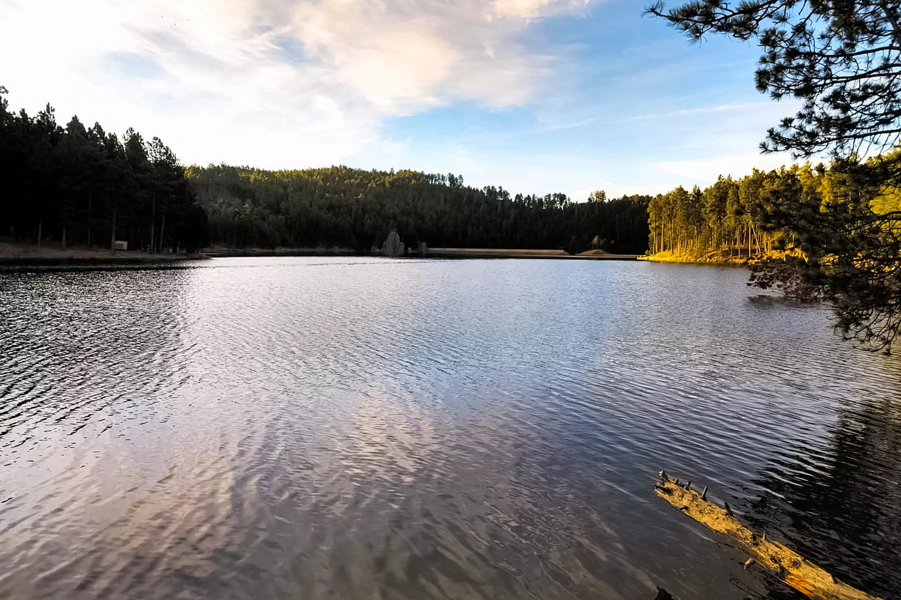 Le lac au terrain de camping du lac central, parc d'état de Custer